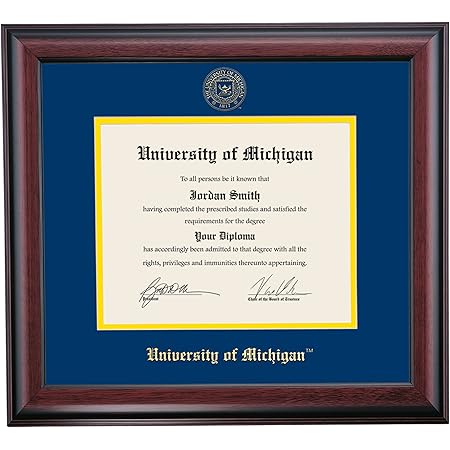 Amazon.com - OCM DiplomaDisplay Traditional Frame for Michigan State ...