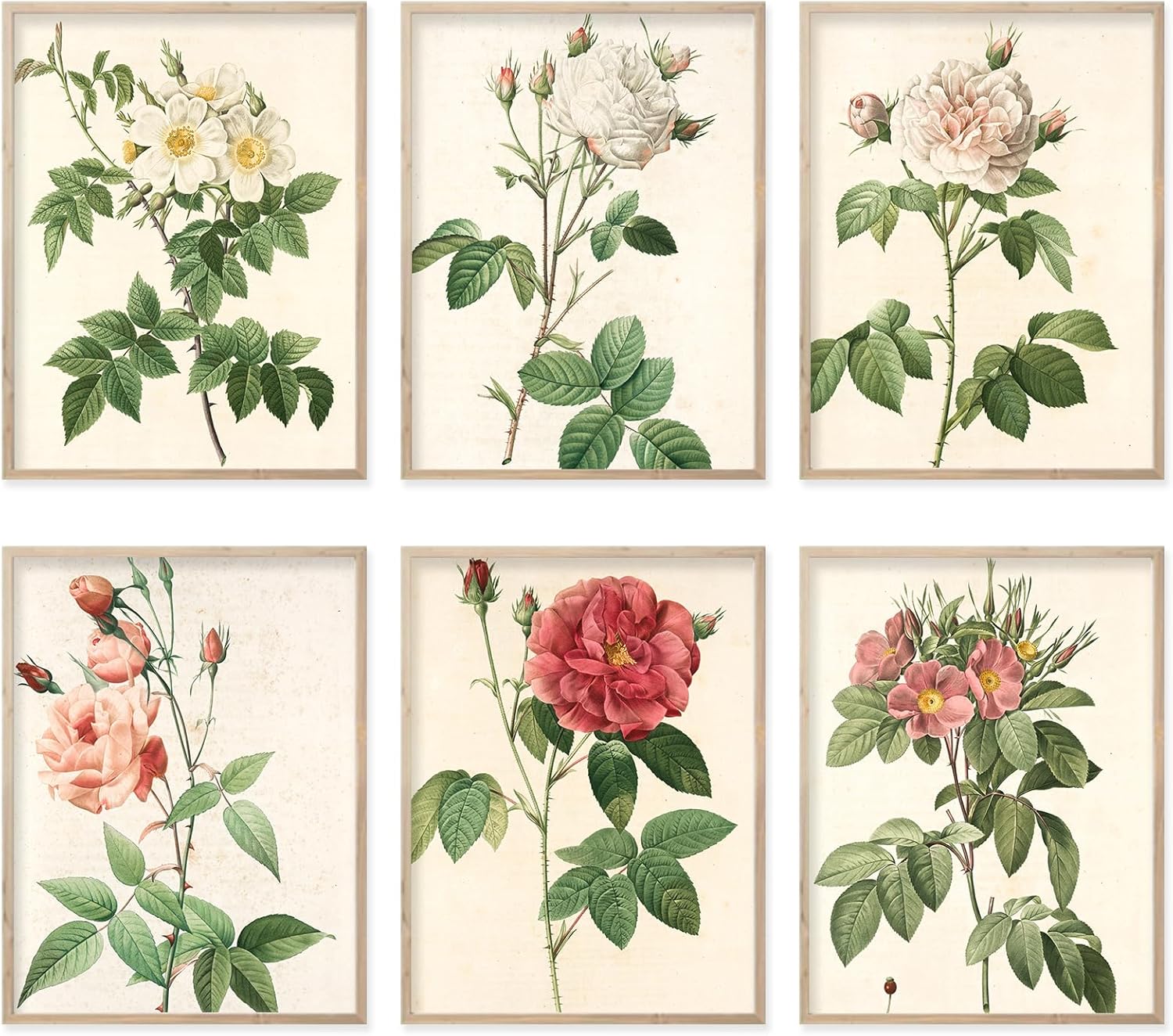 Amazon.com: Botanical Prints Vintage Flower Wall Art Canvas Poster for ...