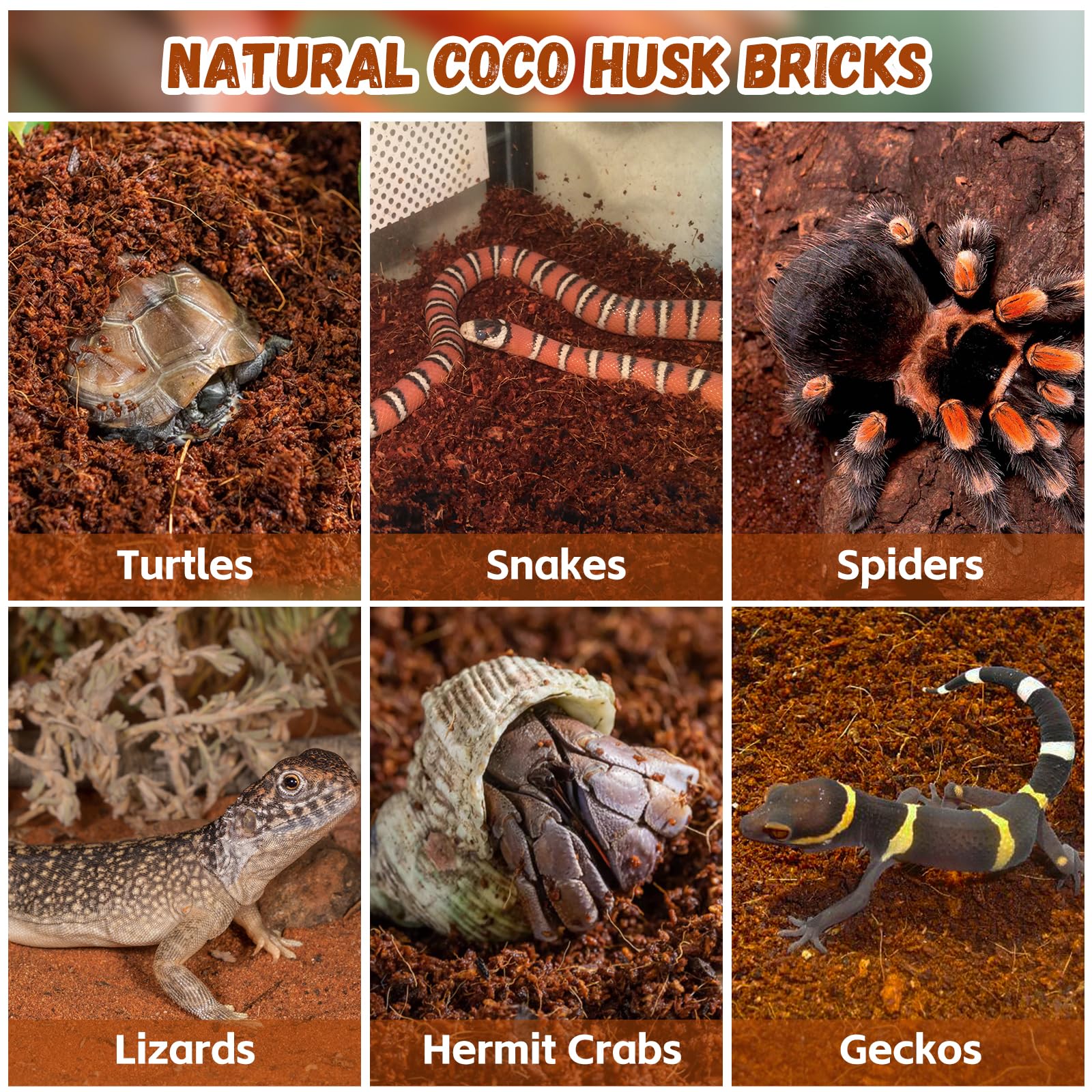 Snapklik.com : Legigo 6 Pack Compressed Coconut Fiber Substrate - 100% ...