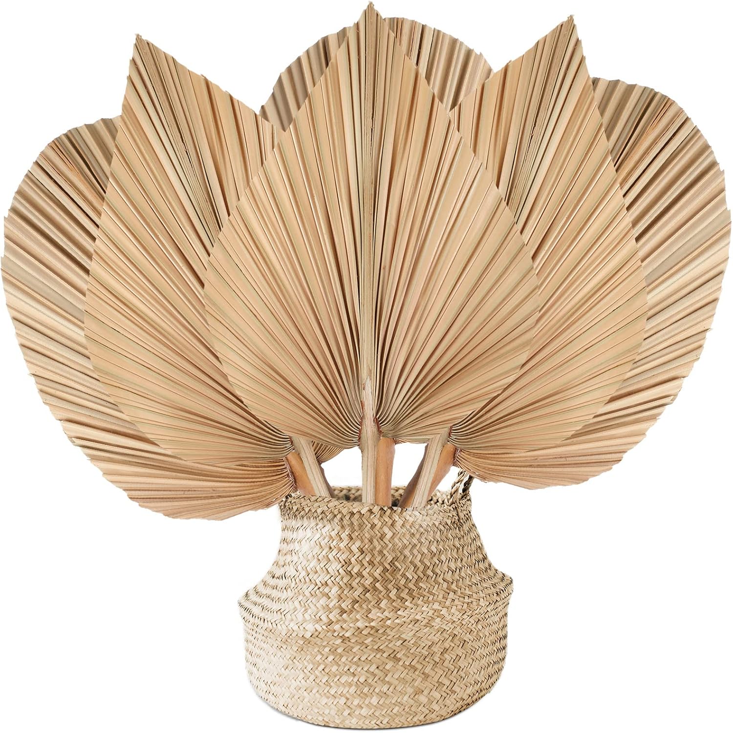 Amazon.com: Natural Dried Palm Leaves Boho Palm Leaves Decor Heart ...