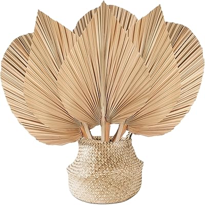 Amazon.com: Chenkaiyang 10 Large Bulk Boho Dried Palm Leaves, Fans with ...
