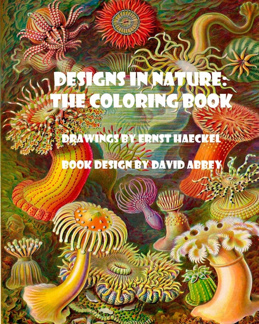 Amazon.com: Designs in Nature: the coloring book: 9781523694747 ...