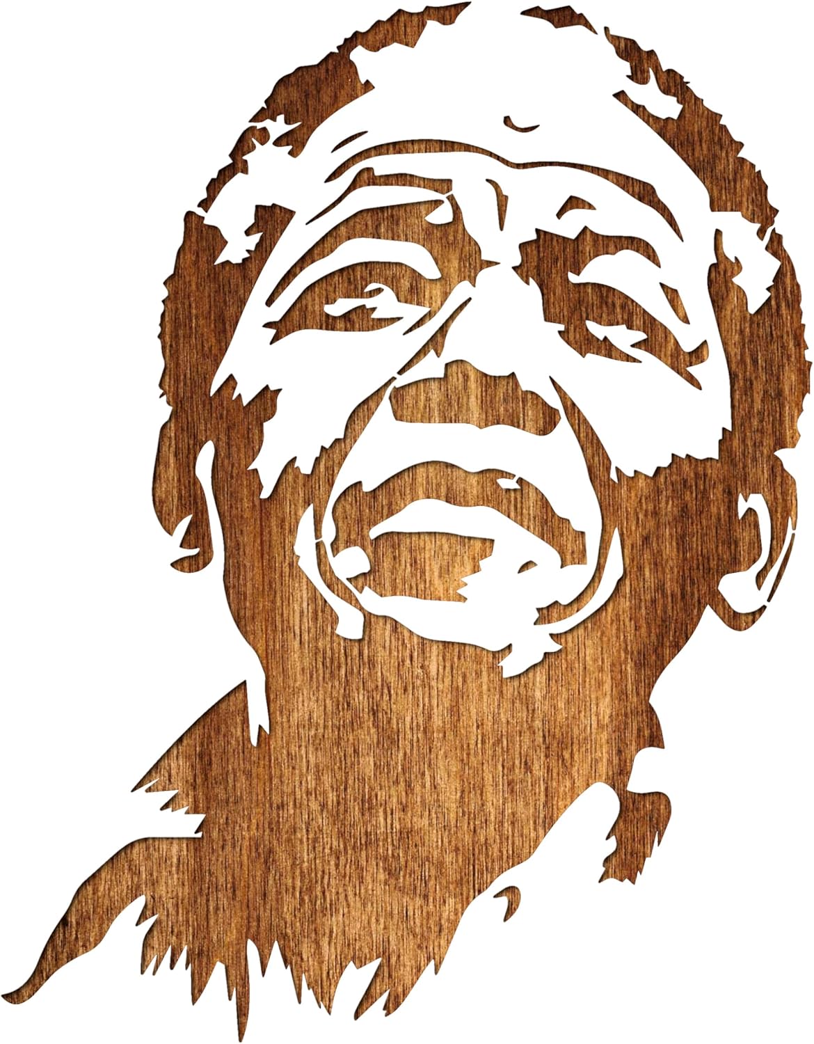 Nelson Mandela Mylar Plastic Stencil 22 x 22 cm : Amazon.co.uk: Home ...
