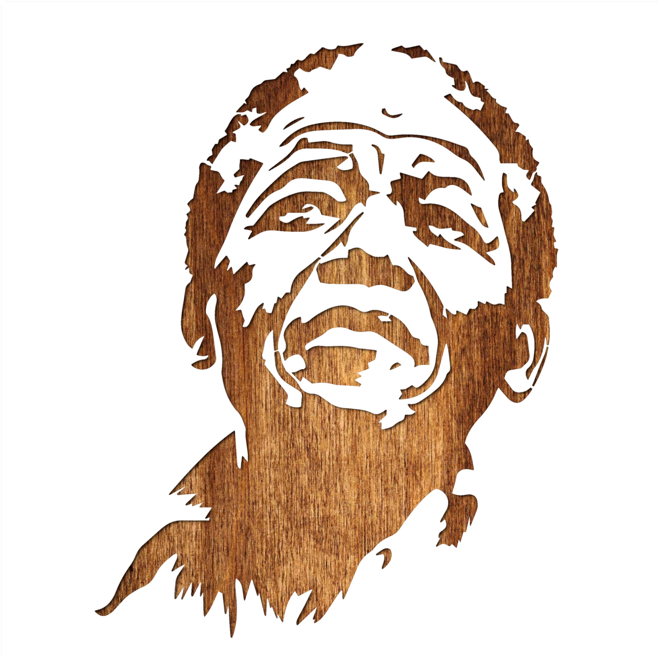 Nelson Mandela Sjabloon Nelson Mandela PowerPoint Presentation And