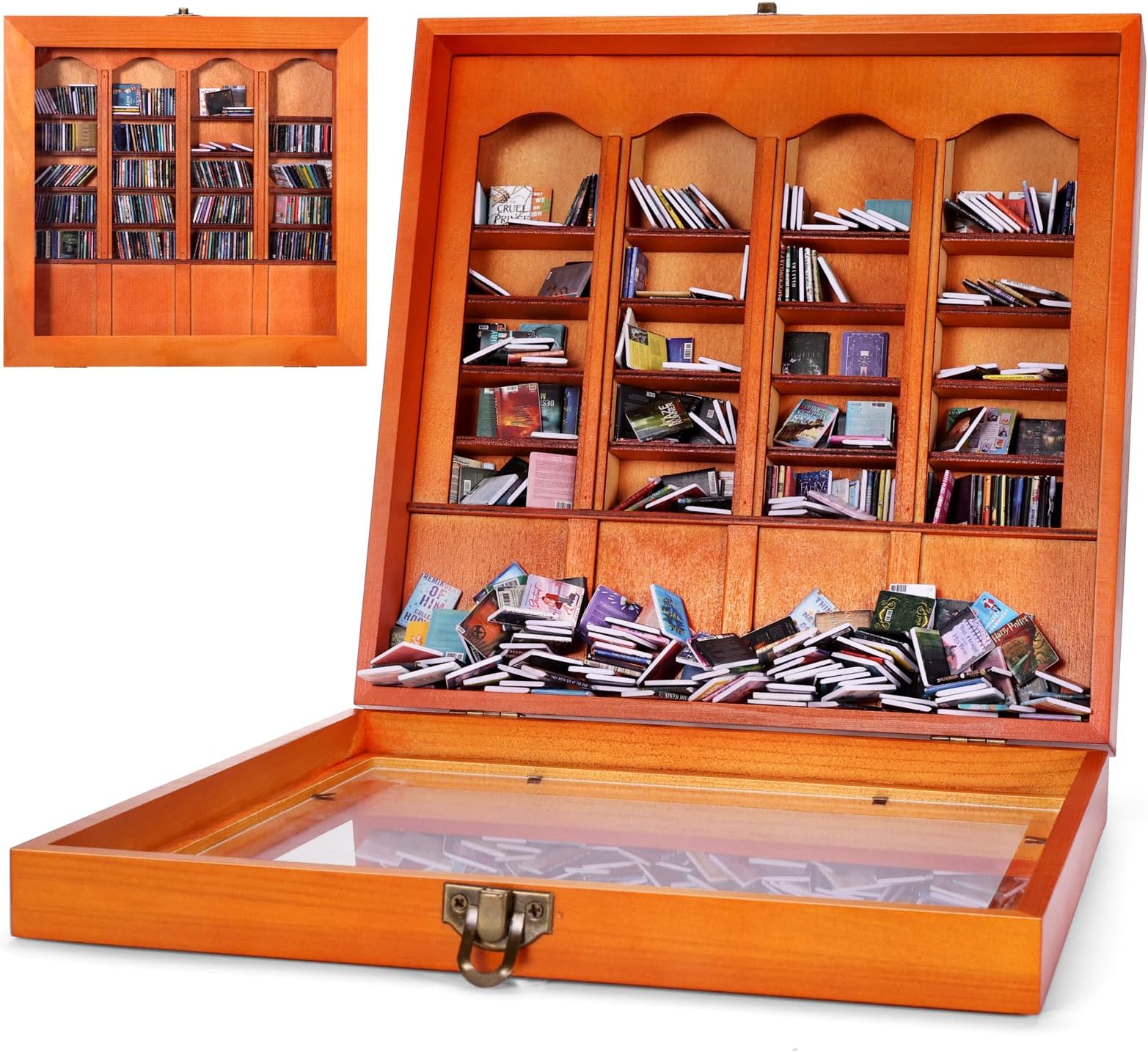 Amazon.com: SAIONJI Anxiety Bookshelf with 200 Unique Miniature Books ...