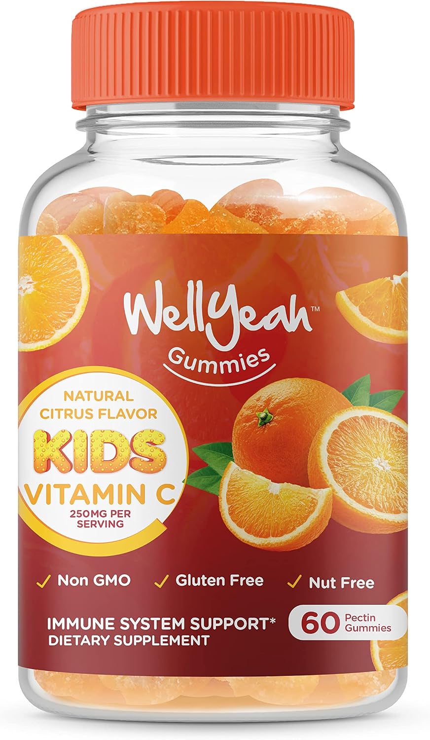 Amazon.com: WellYeah Kids Vitamin C Gummies (250mg) Healthy Boost for ...