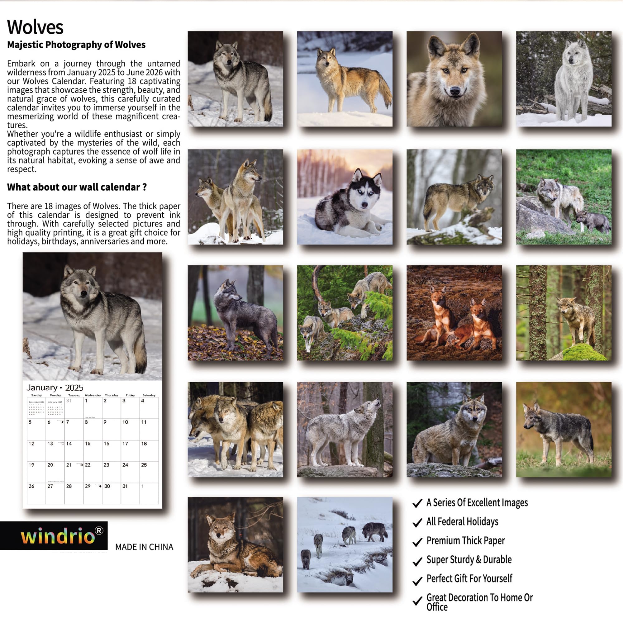 Snapklik.com : 2025 Wall Calendar,Calendar 2026, January 2025 - June ...