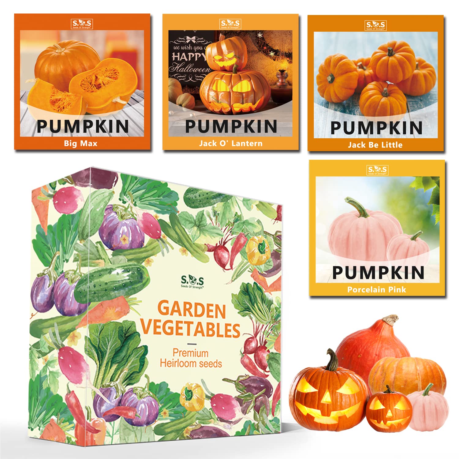 Big Medium Small Pumpkin Names