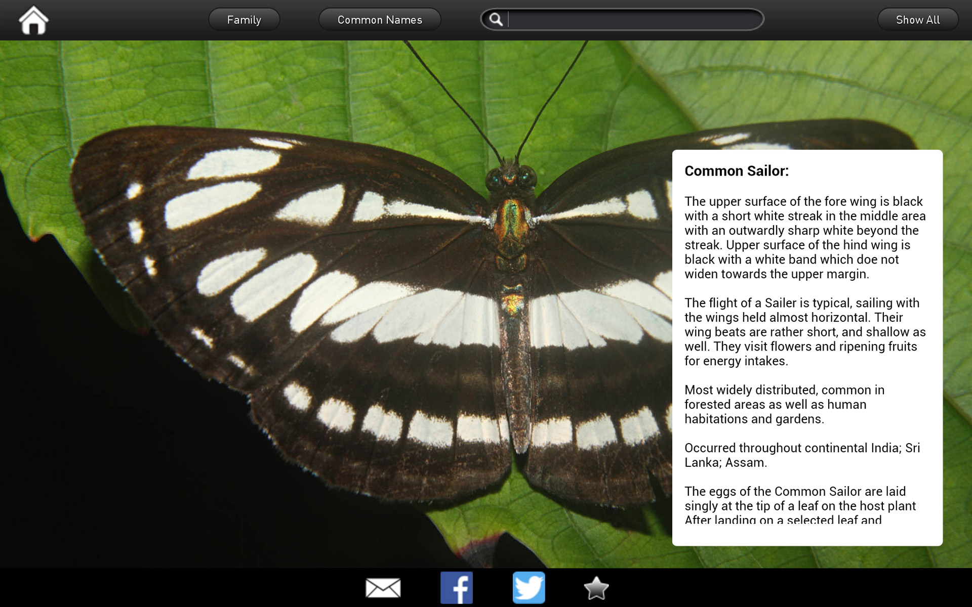 Butterfly eGuide - App on Amazon Appstore