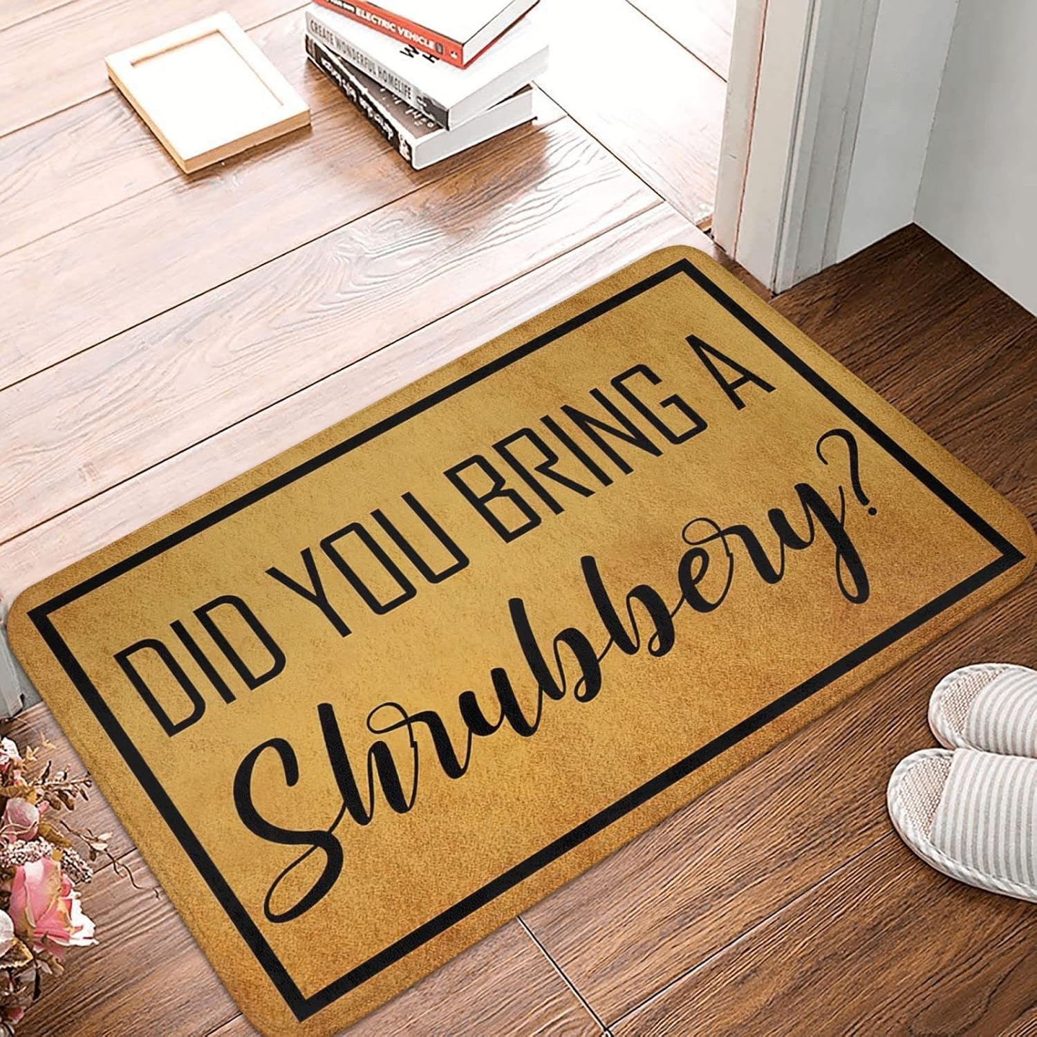 Amazon.com: Doormat Welcome Mat Door Mats Outdoor Did You Bring A ...