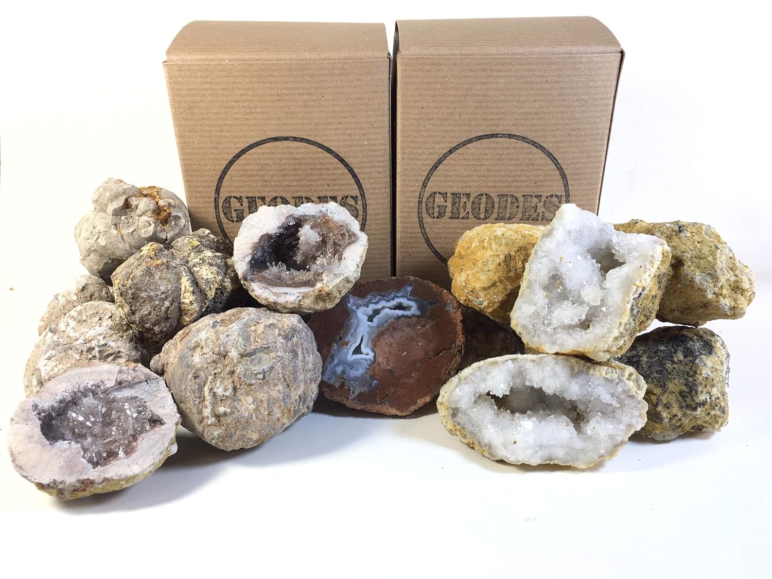 Amazon.com: Combo Pack - 12 Break Open Mexican Trancas & Quartz Geodes ...
