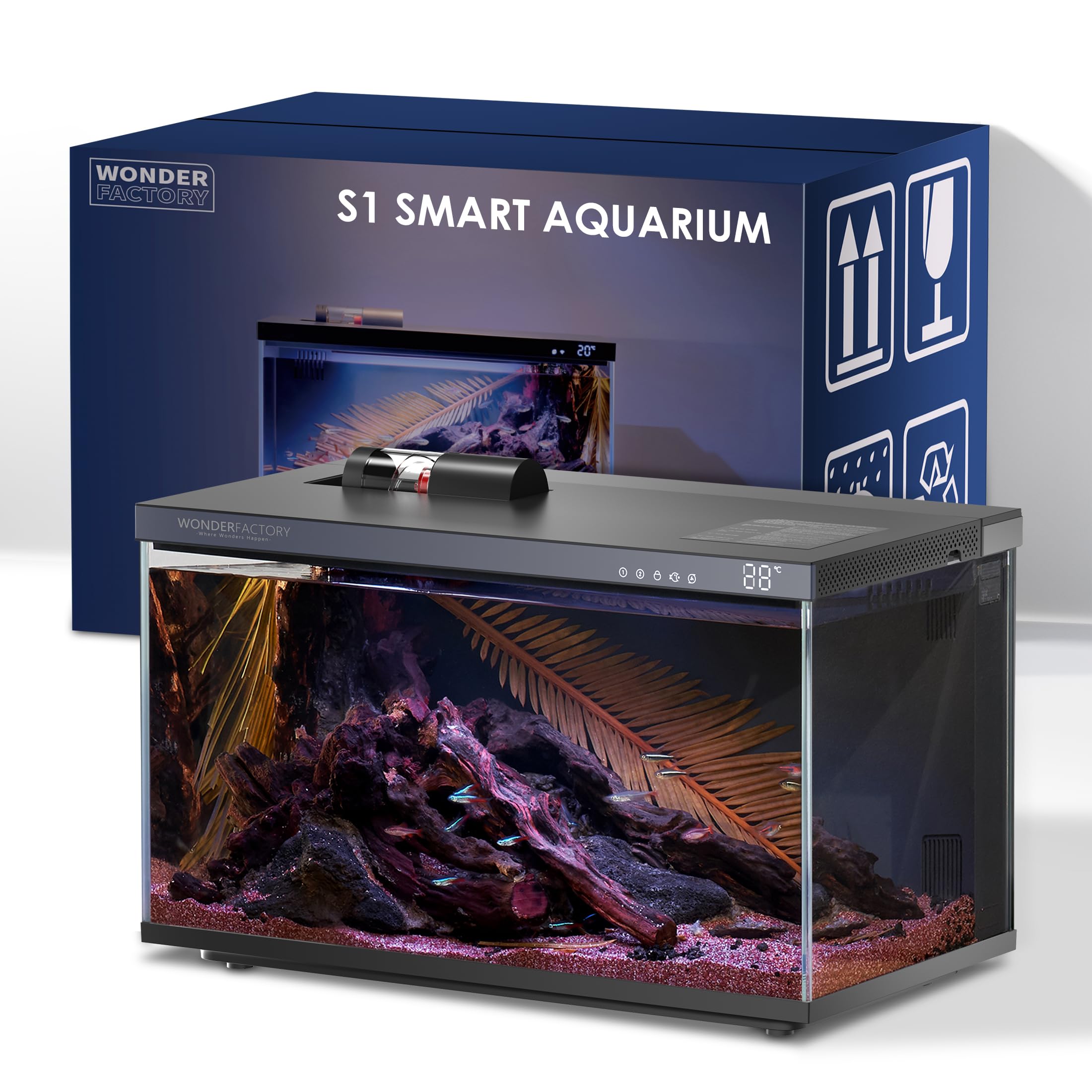 Amazon.com : 5 Gallon Smart Aquarium Fish Tank Starter kit, Including ...