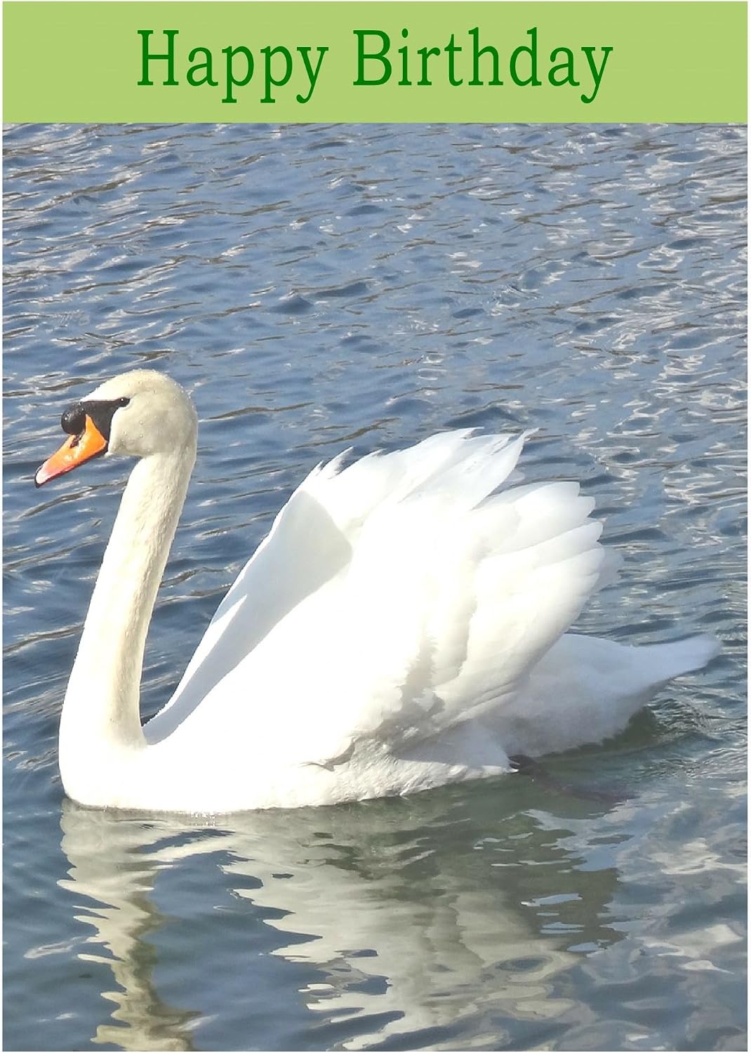 Swan Birthday Card : Amazon.co.uk: Stationery & Office Supplies
