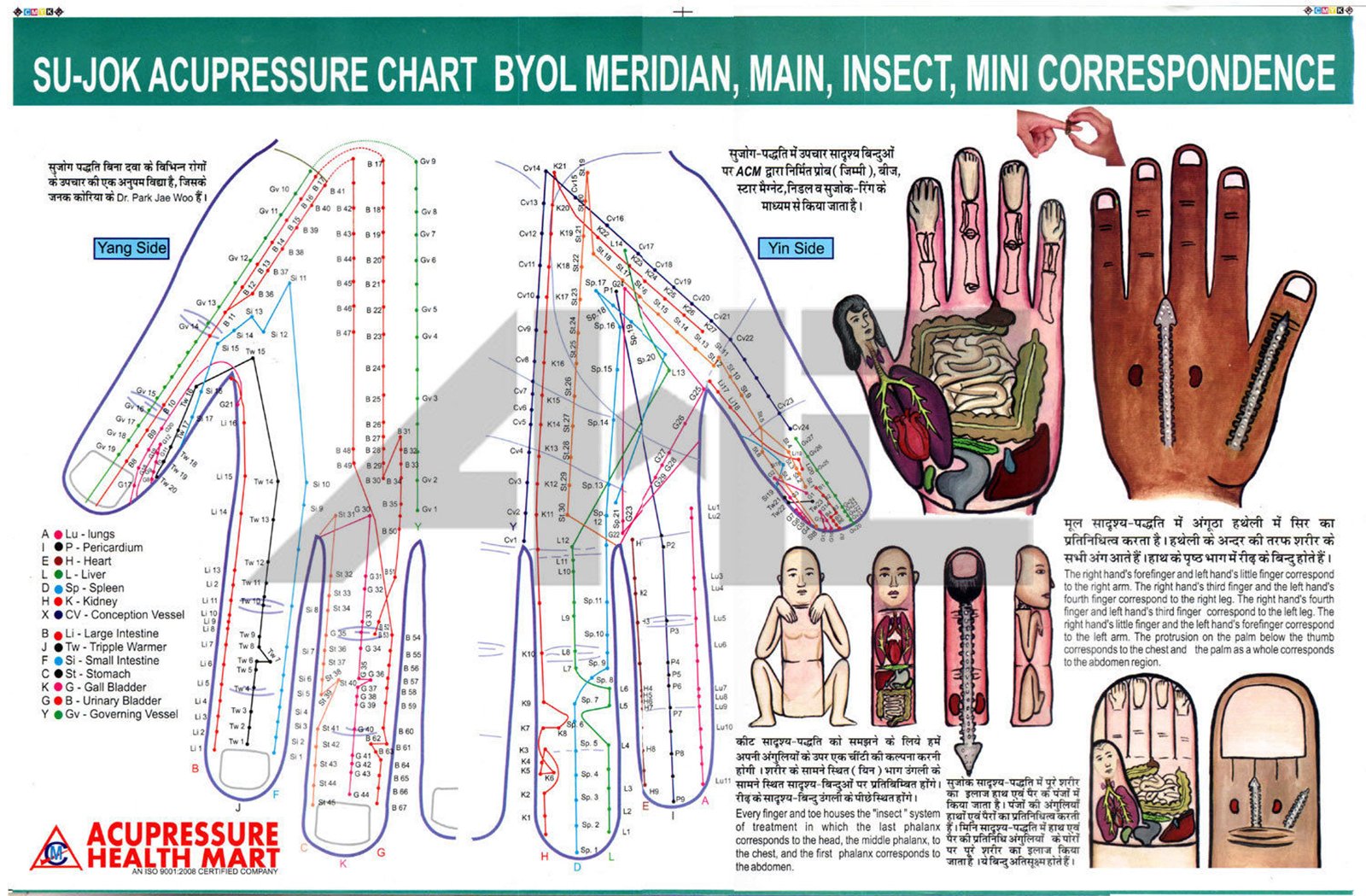 Acupressure, Acupuncture, Sujok, Five Element, Ear Charts (Set of 5)+ 5 ...