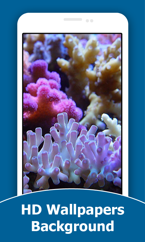Coral Wallpapers - App on Amazon Appstore