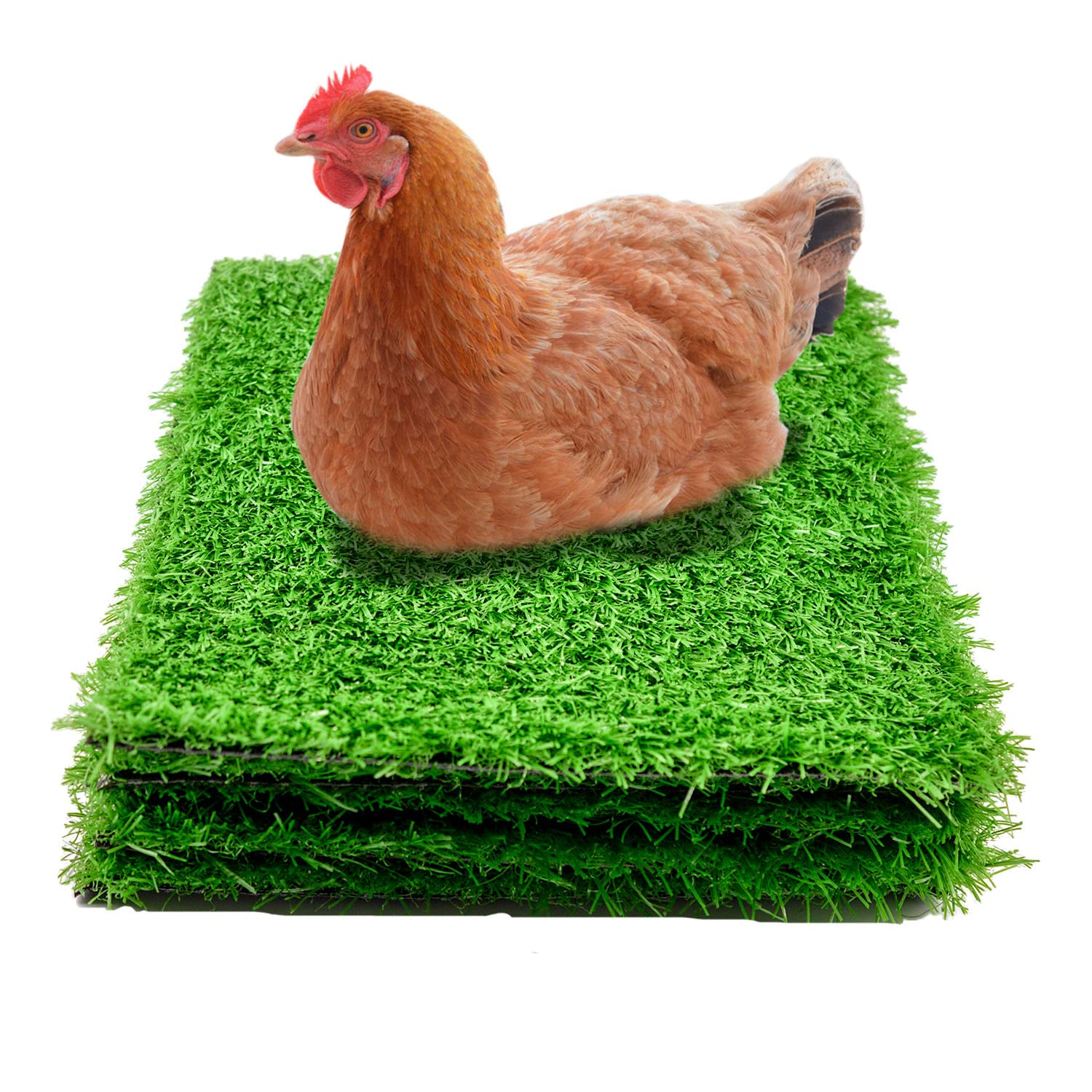 Snapklik.com : Chicken Nesting Box Pads Washable Chicken Nesting Pad ...