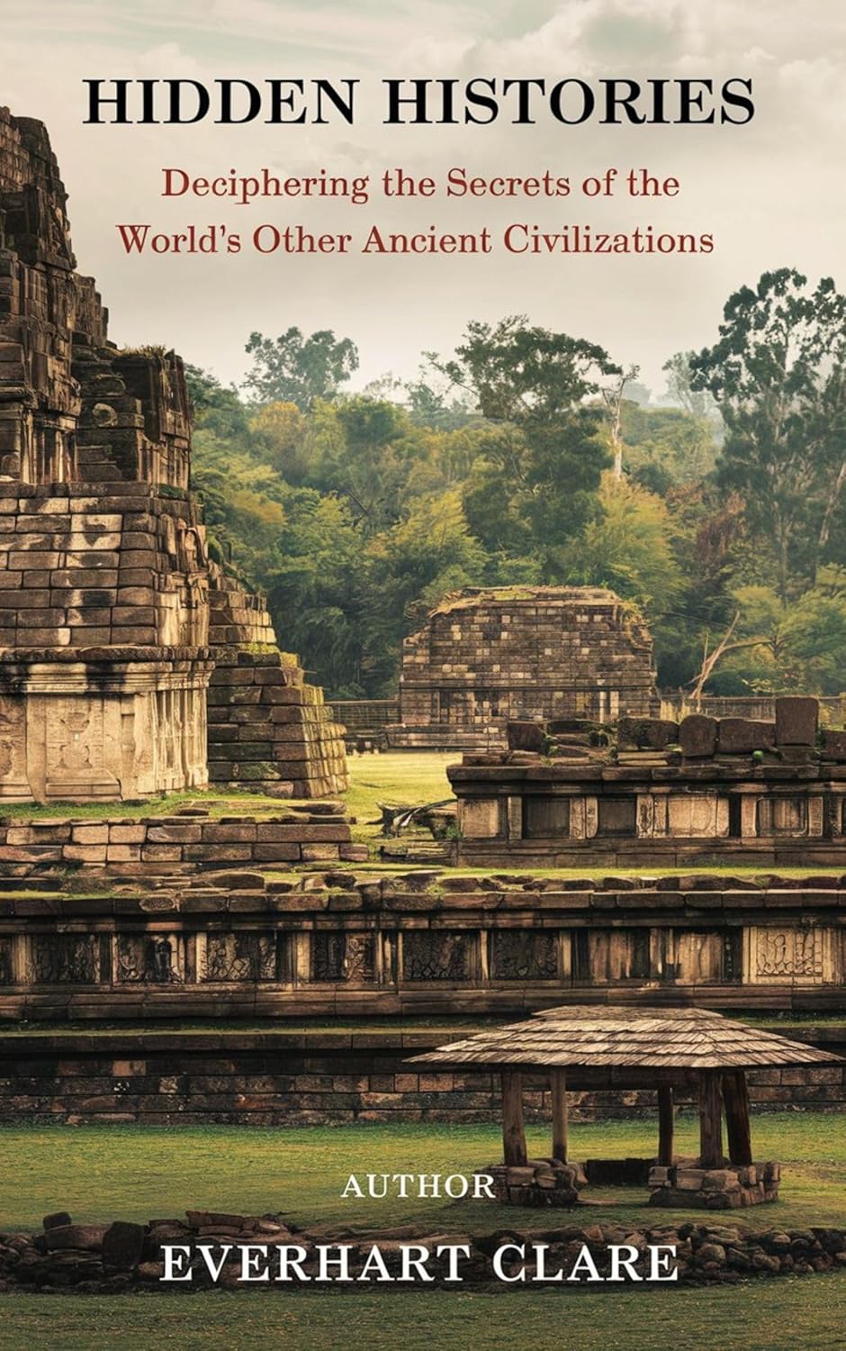 Amazon.com: Hidden Histories: Deciphering the Secrets of the World's ...