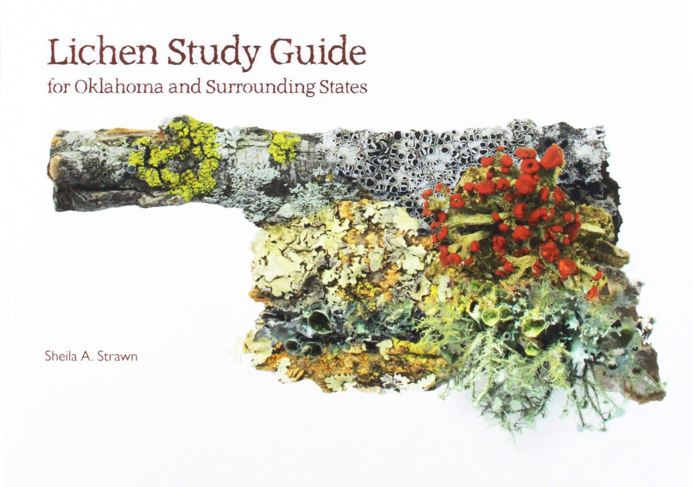 Lichen Study Guide for Oklahoma and Surrounding States: Sheila A ...