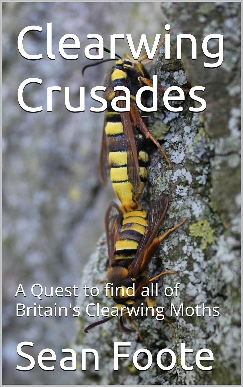 Clearwing Crusades: A Quest to find all of Britain's Clearwing Moths ...