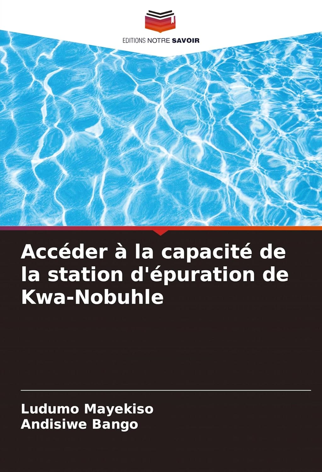 Accéder à la capacité de la station d'épuration de Kwa-Nobuhle ...