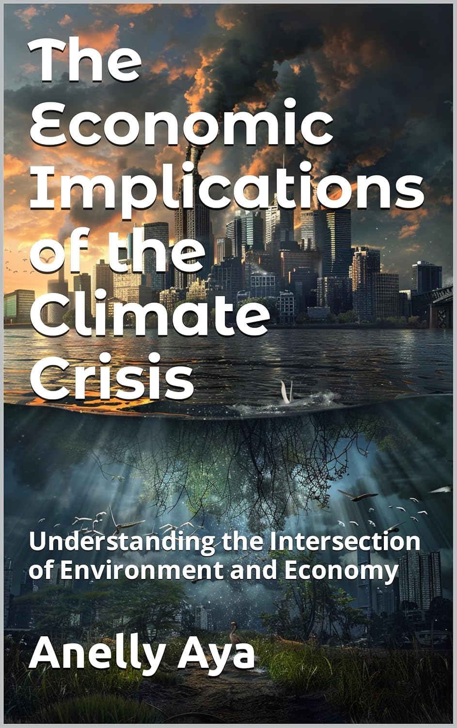 Amazon.com: The Economic Implications of the Climate Crisis ...