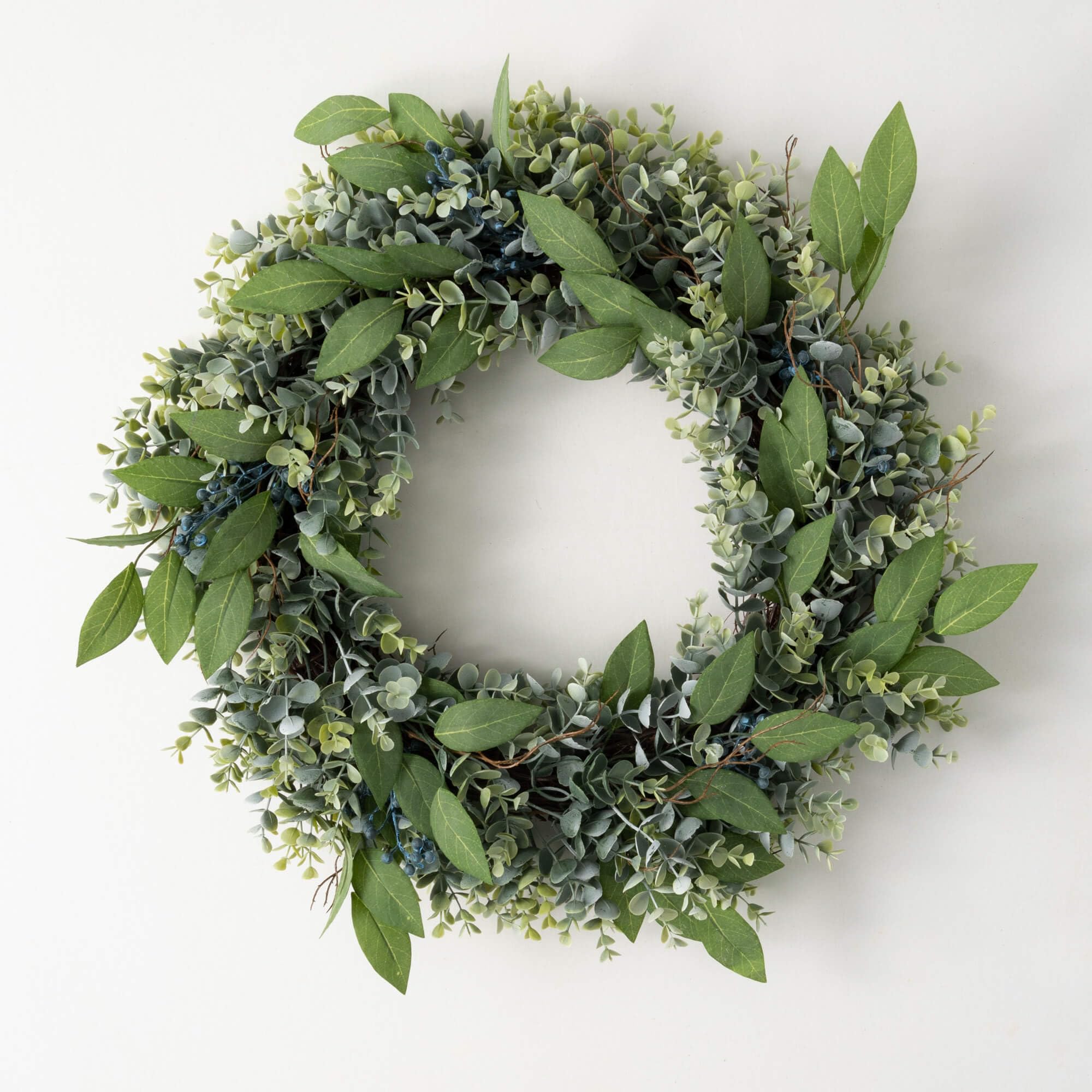 Amazon.com: Sullivans 22 Inch Eucalyptus and Sage Wreath, Spring and ...