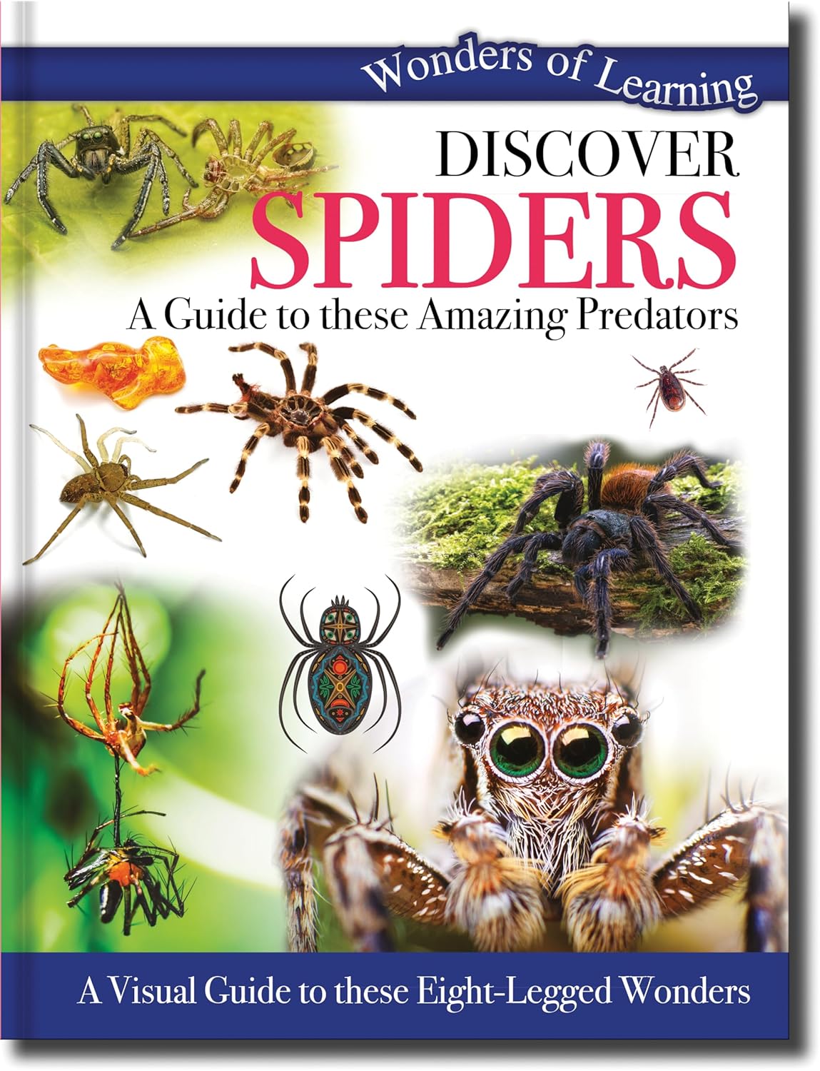 Discover Spiders: A Guide to These Amazing Predators (Wonders of ...