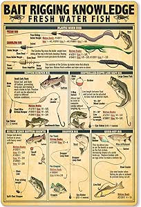 Amazon.com: Bait Rigging Knowledge Metal Tin Signs Fresh Water Fish ...