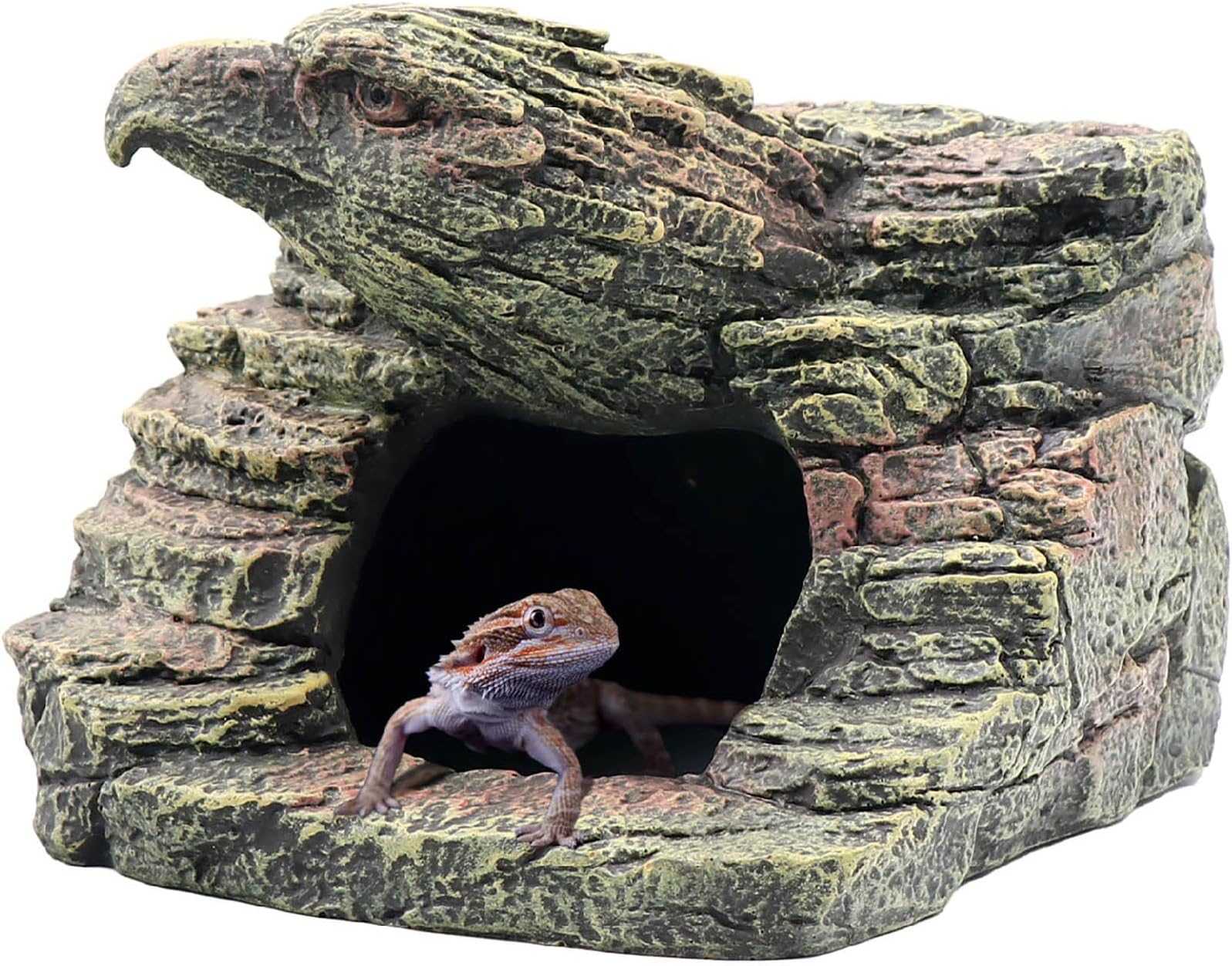 Amazon.com : relaqcc Reptile Cave Climb Hideout Hideaway, Aquarium ...