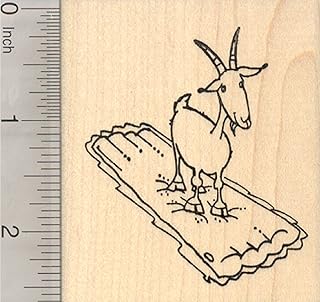 Guide To Getting A Goat On Your Raft | PetShun