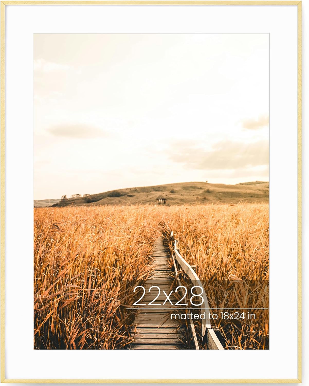 Amazon.com - 22x28 Picture Frame,Display Photo 18x24 with Mat or 22x28 ...