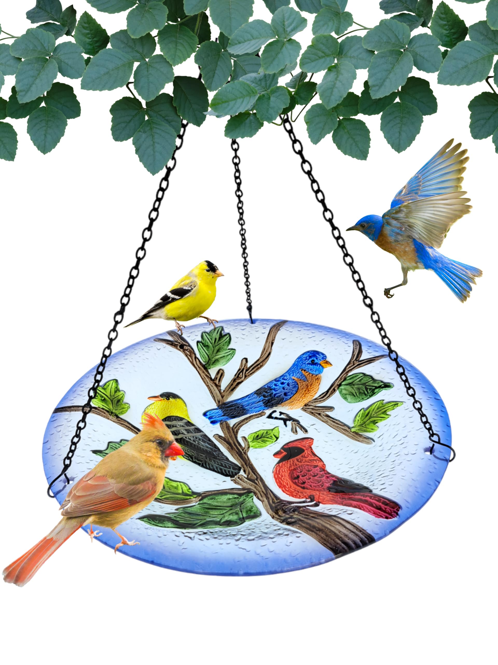 Amazon.com: Songbird Essentials Songbird Trio Hanging Bird Bath, 13 ...