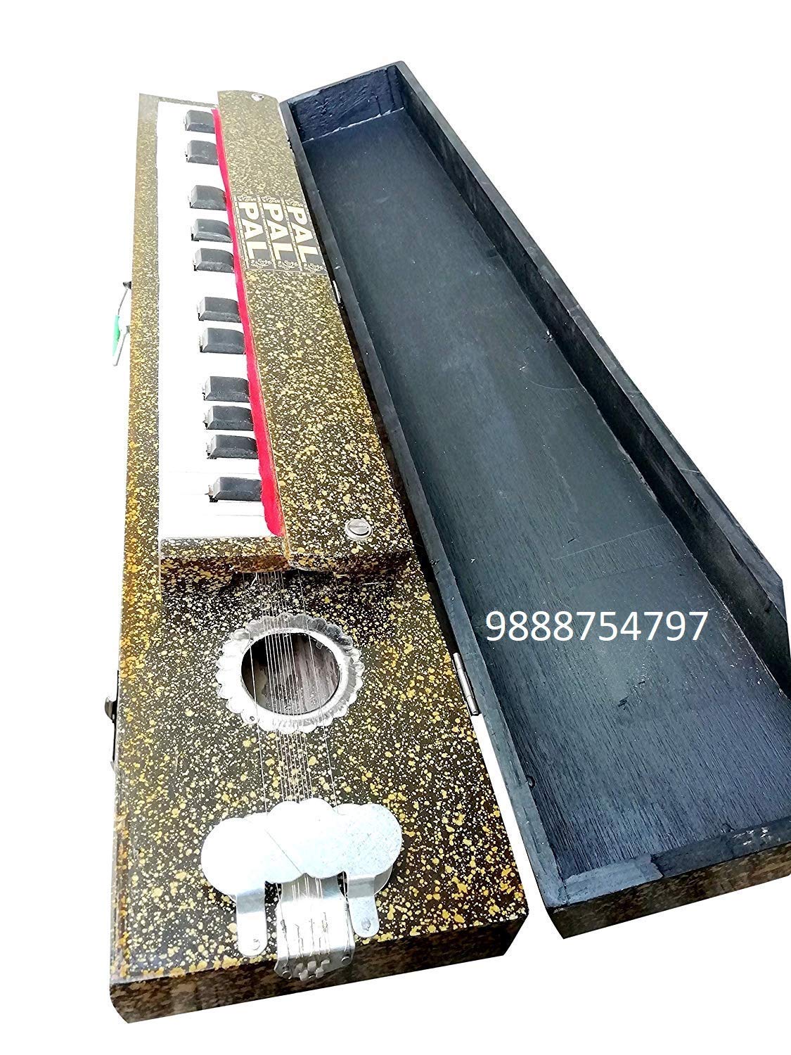 Electric Bulbul Tarang
