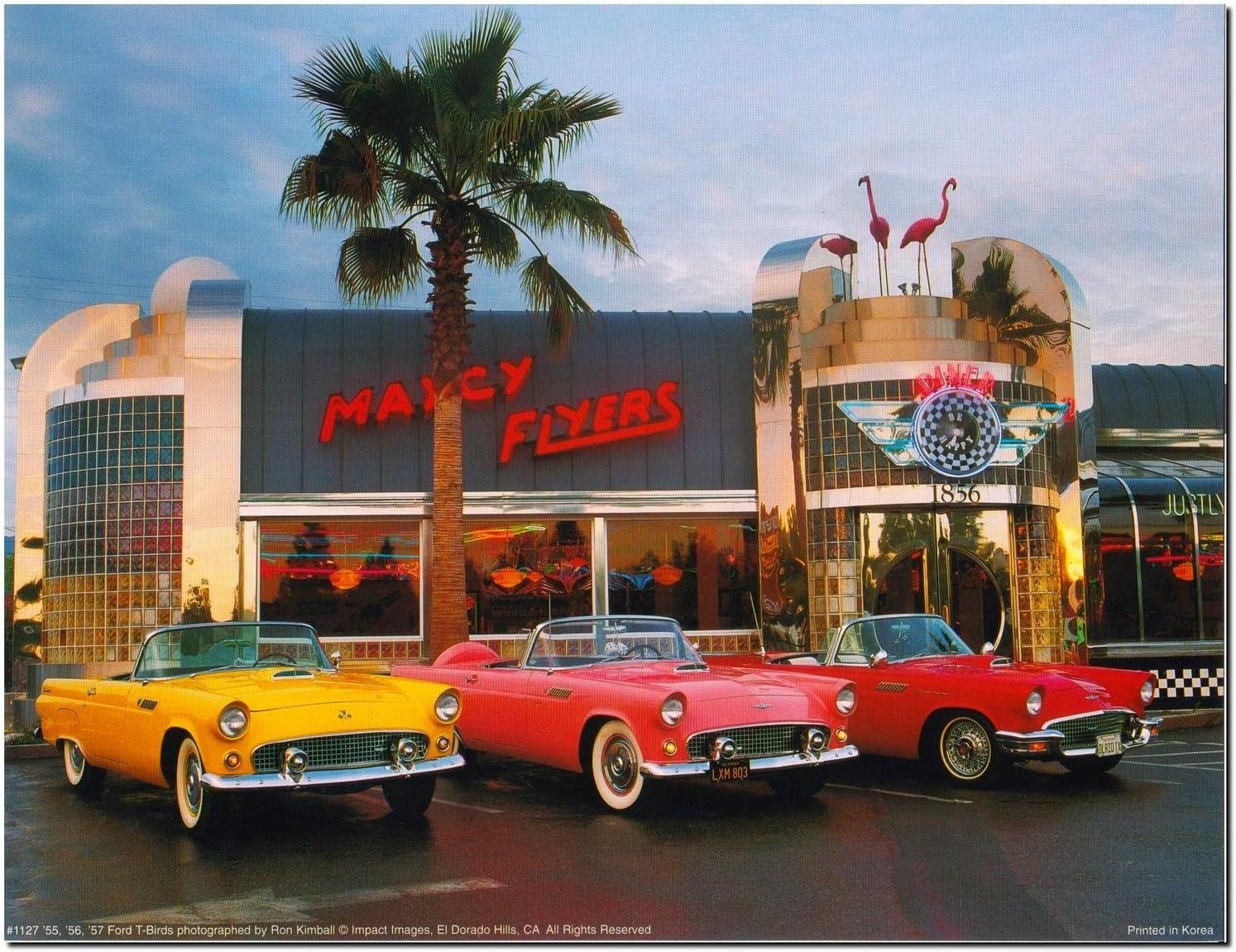 Amazon.com: American Automobiles 1950-1959 Educational Car ...