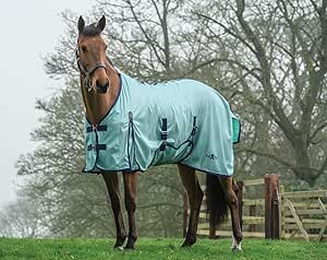 Amazon.com: Saxon. Mesh with Gusset Belly Wrap Standard Neck Fly Sheet ...