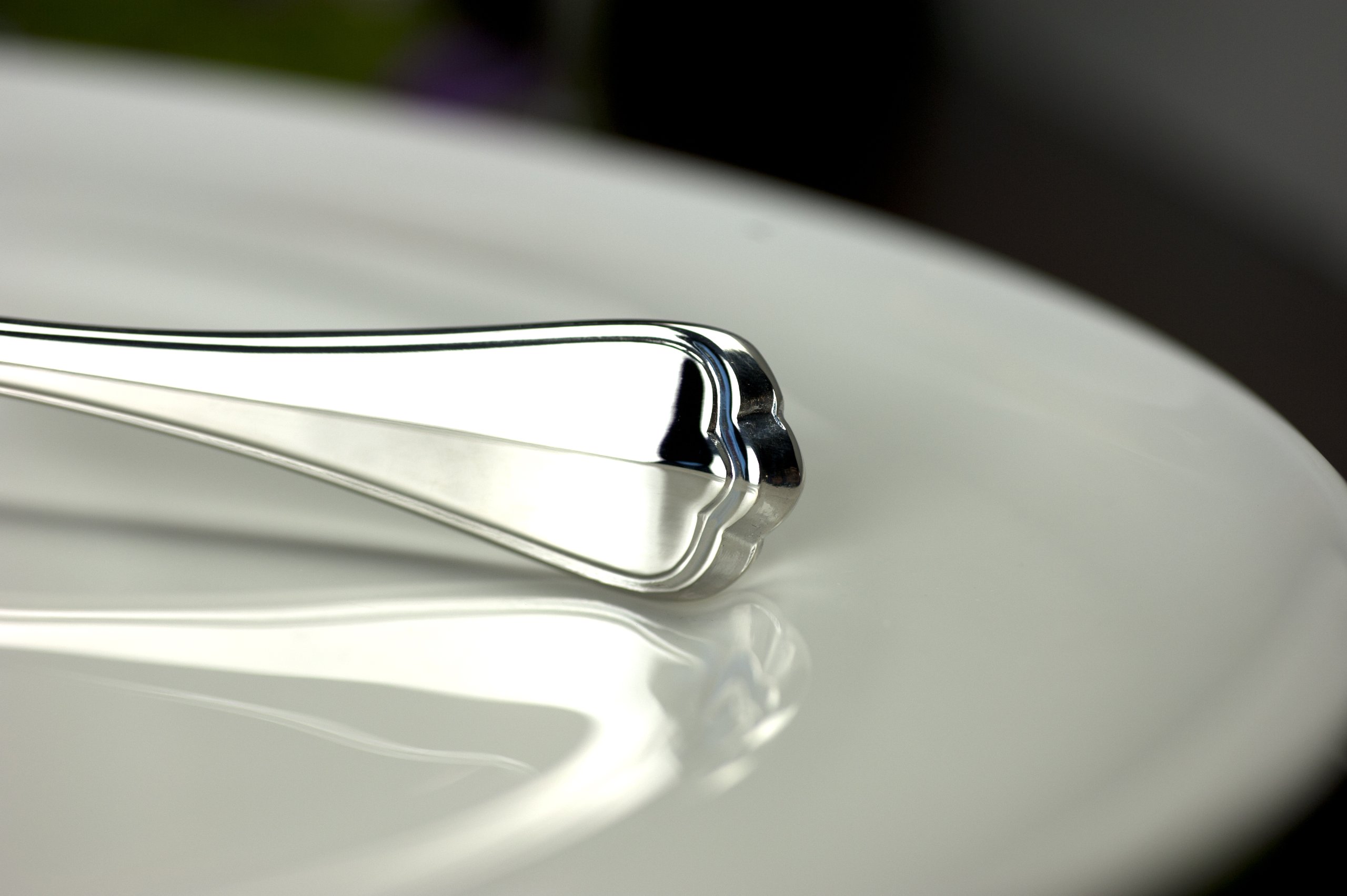 Snapklik.com : Fortessa San Marco 18/10 Stainless Steel Flatware 20 ...