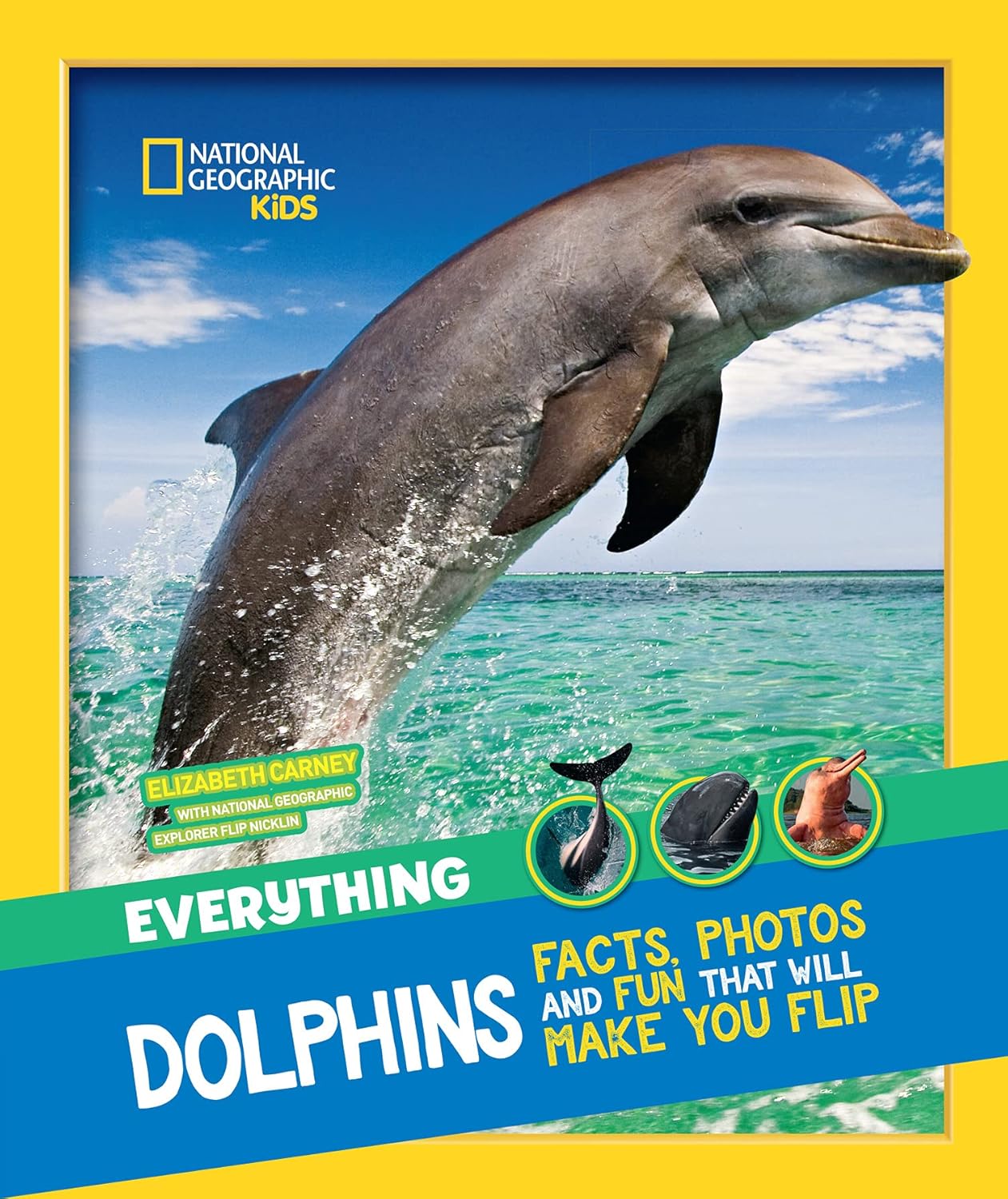 Everything Dolphins: National Geographic Kids: 9780008267742: Amazon ...