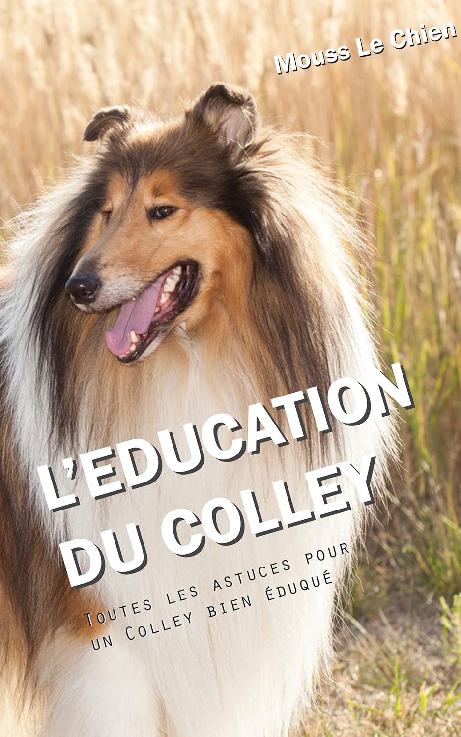 L'EDUCATION DU COLLEY: Toutes les astuces pour un Colley bien éduqué ...