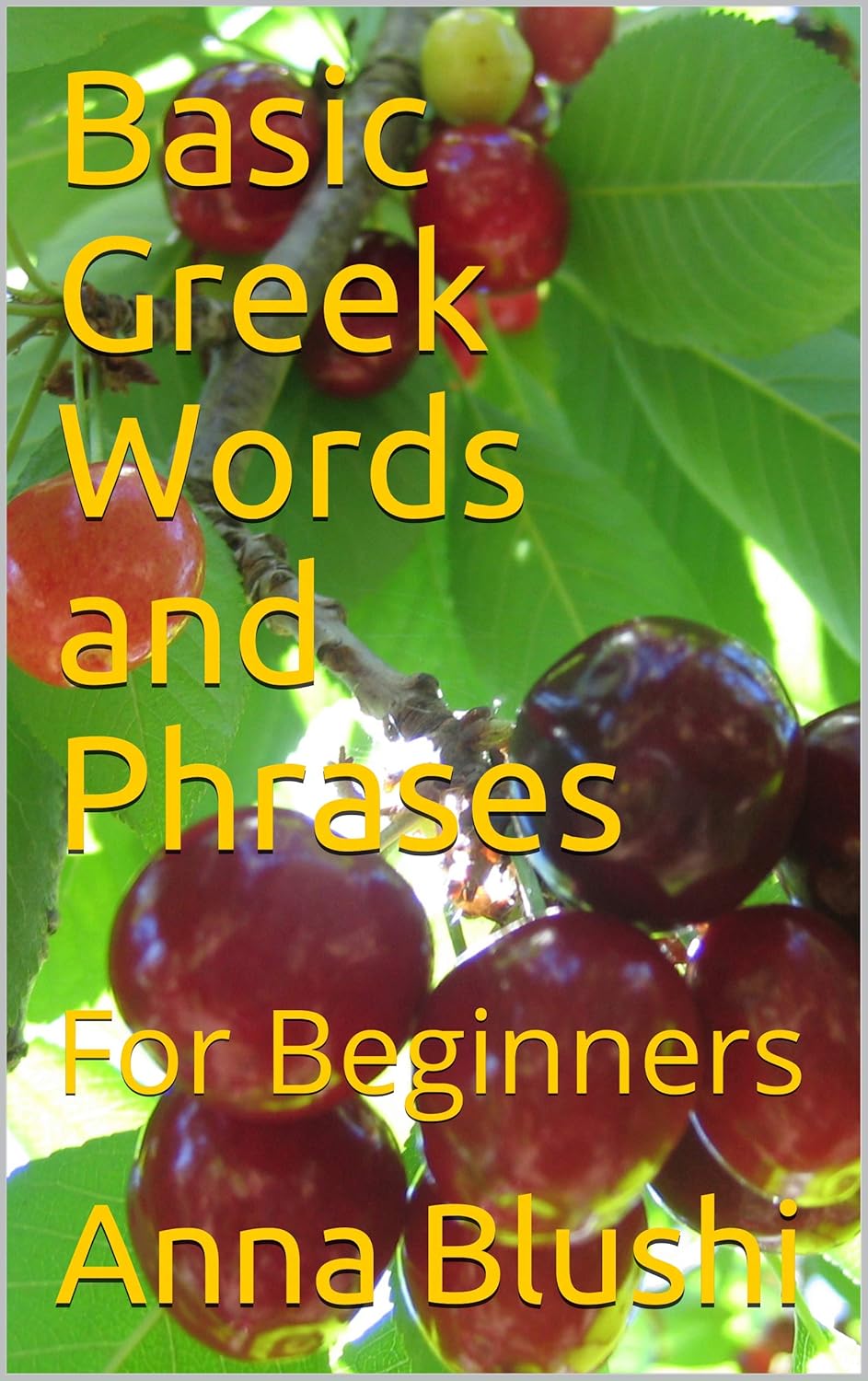Amazon.com: Basic Greek Words and Phrases: For Beginners eBook : Blushi ...