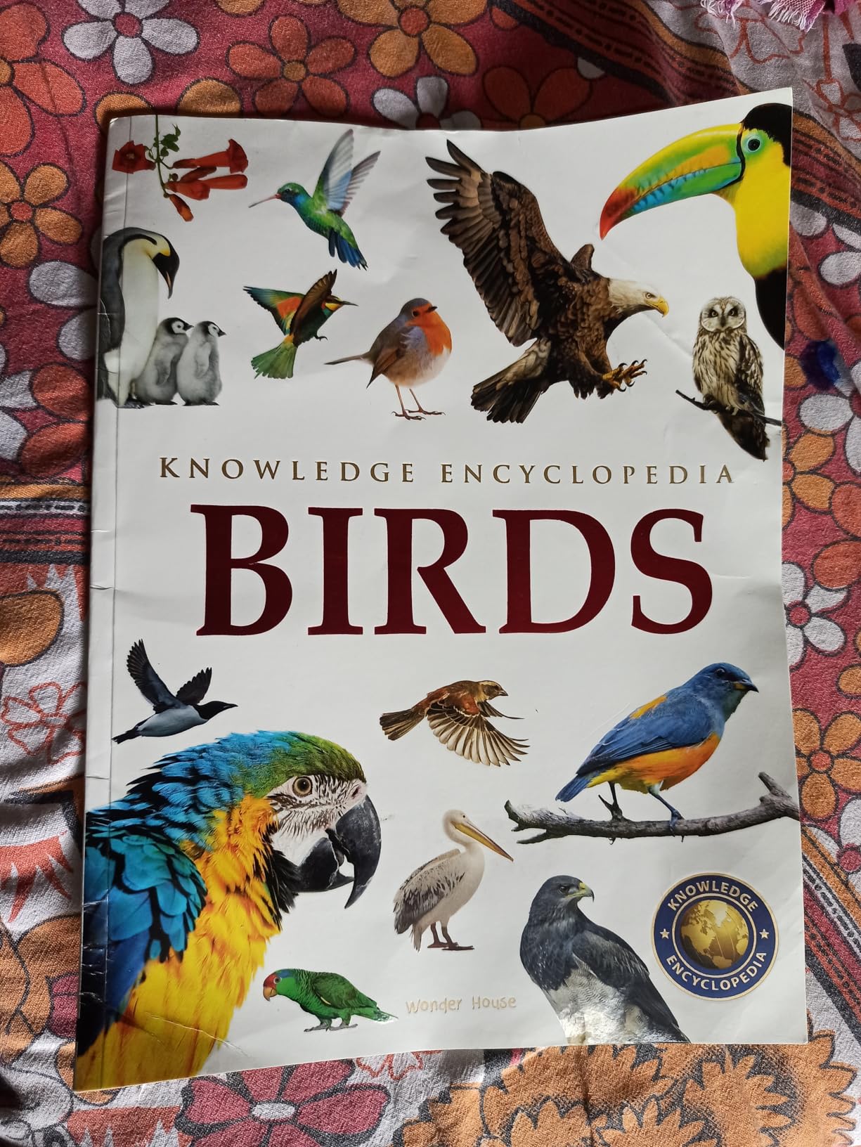 Animals - Birds : Knowledge Encyclopedia For Children : Wonder House ...
