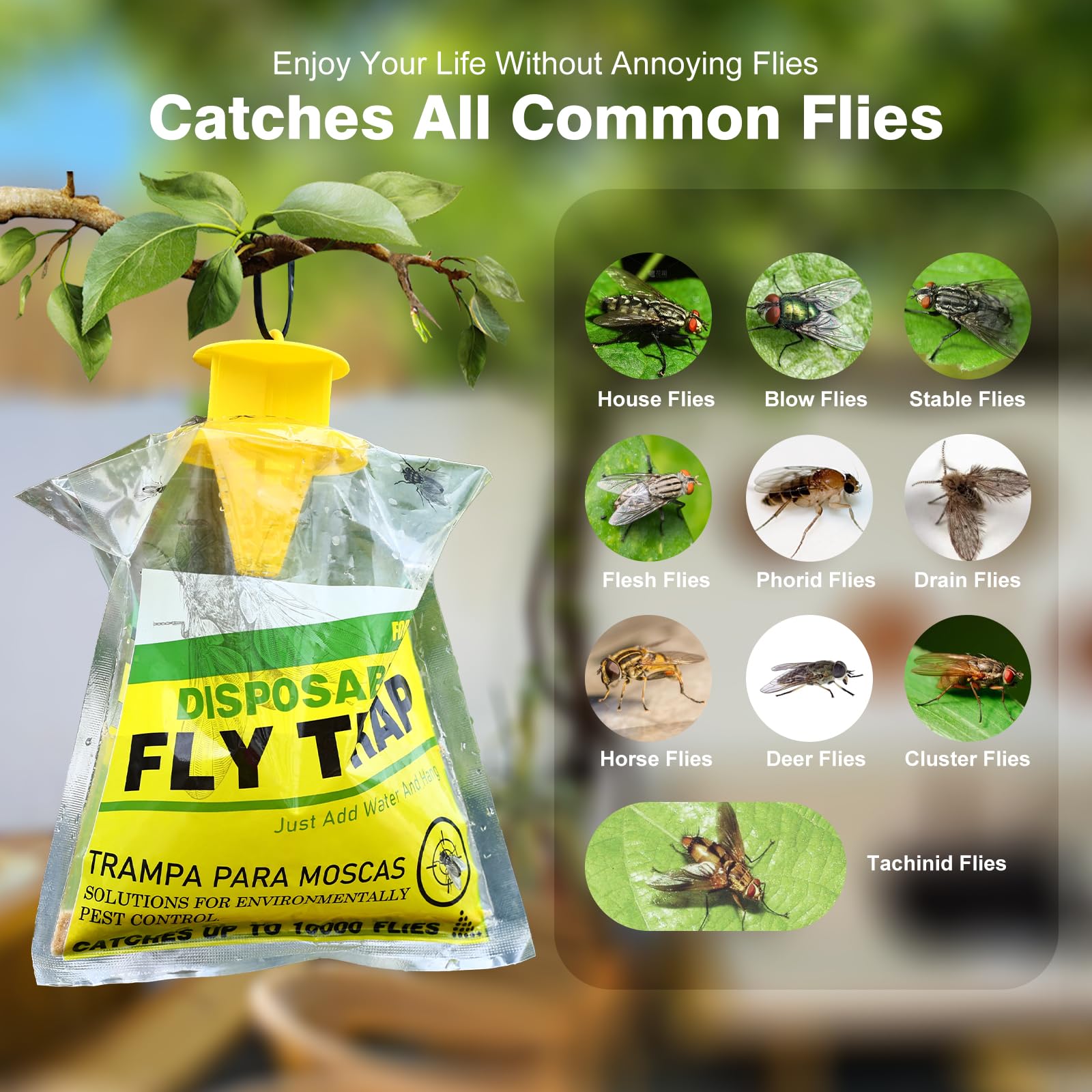 Outdoor Flying Insect Traps