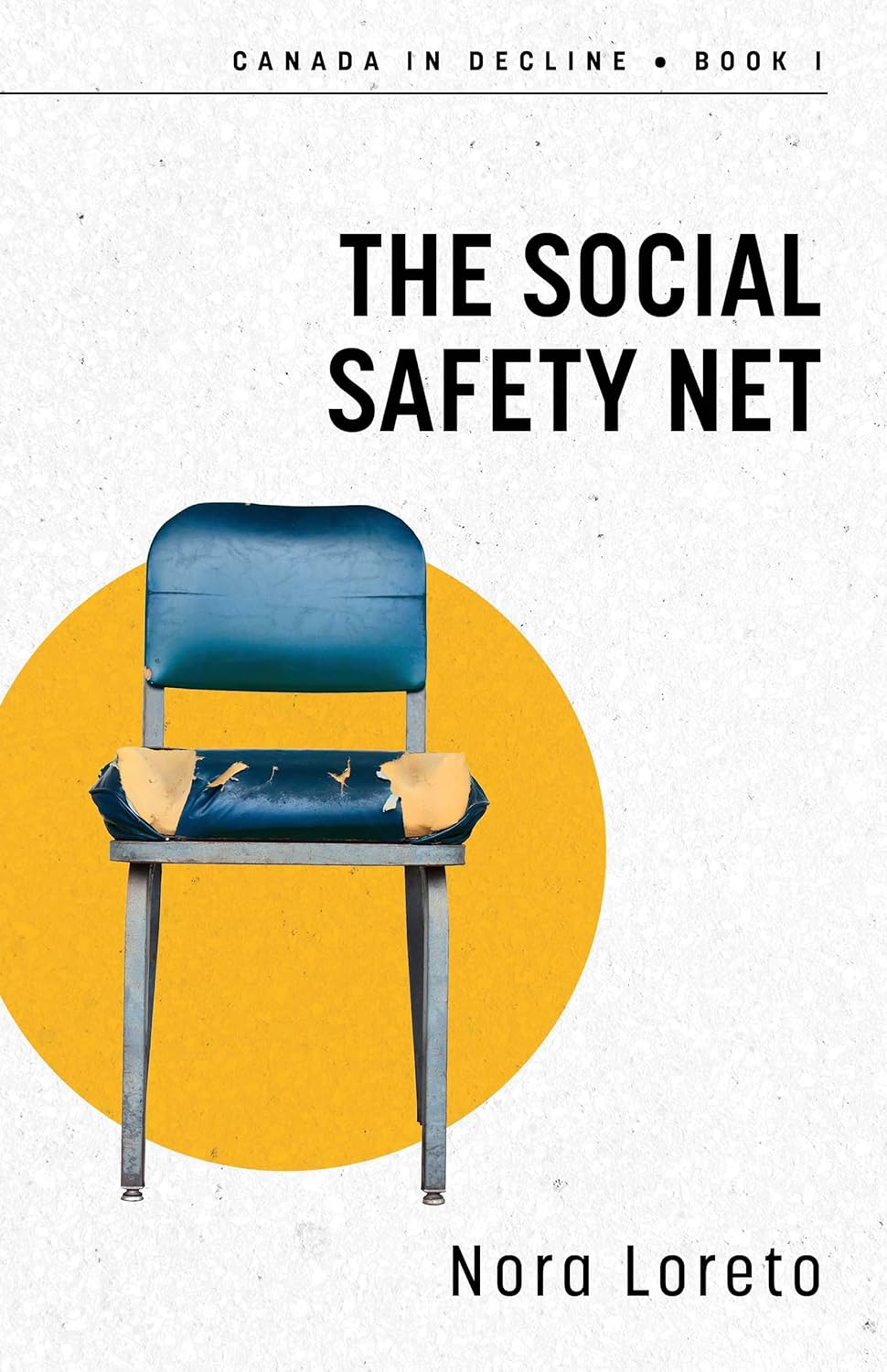 Buy The Social Safety Net Book Online at Low Prices in India | The ...