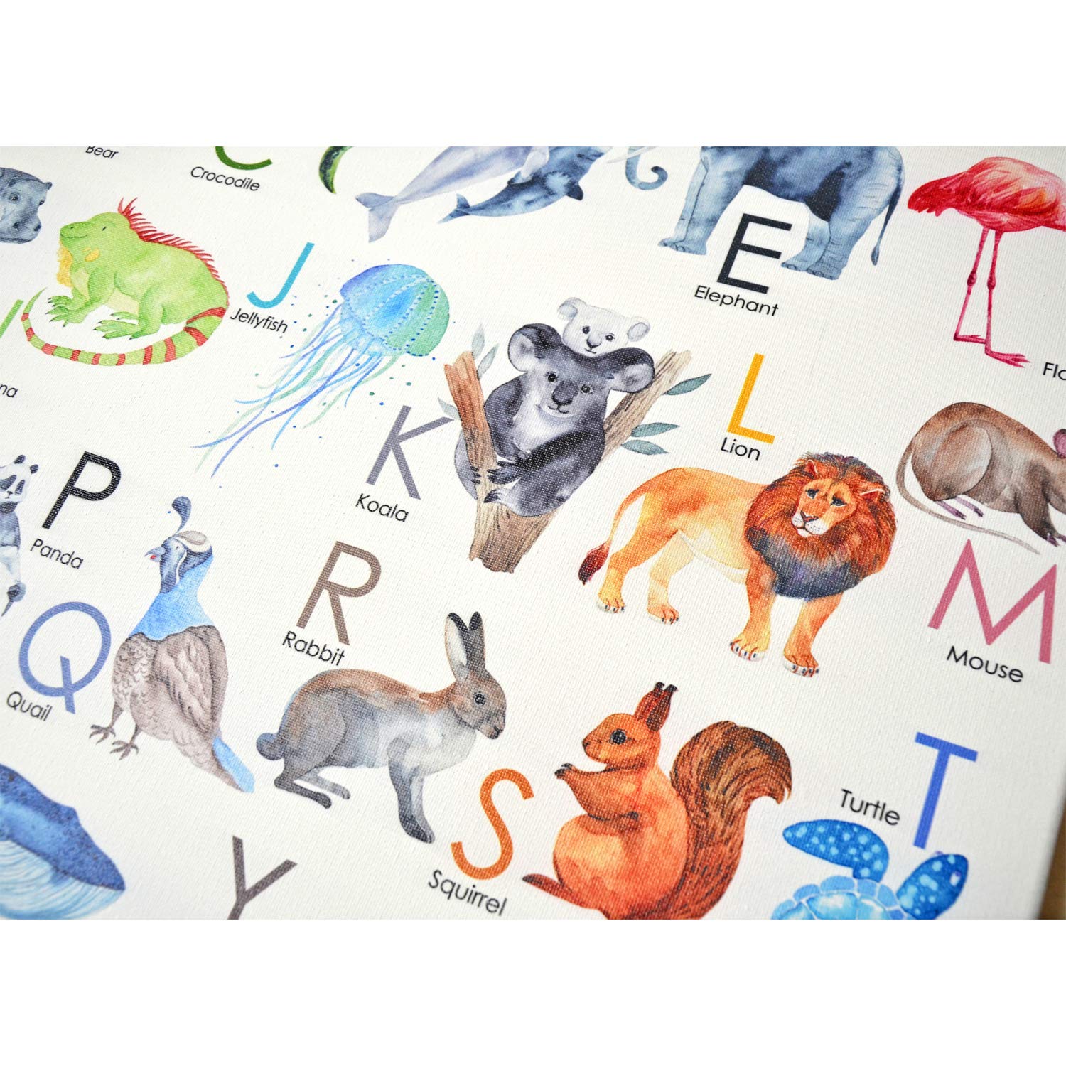 TEXTURE OF DREAMS Kids Alphabet Letters with Pictures on Large Canvas ...