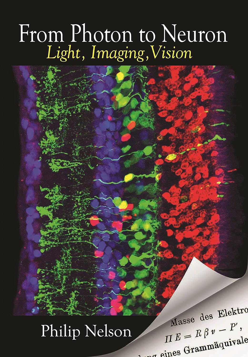 From Photon to Neuron: Light, Imaging, Vision eBook : Nelson, Philip ...