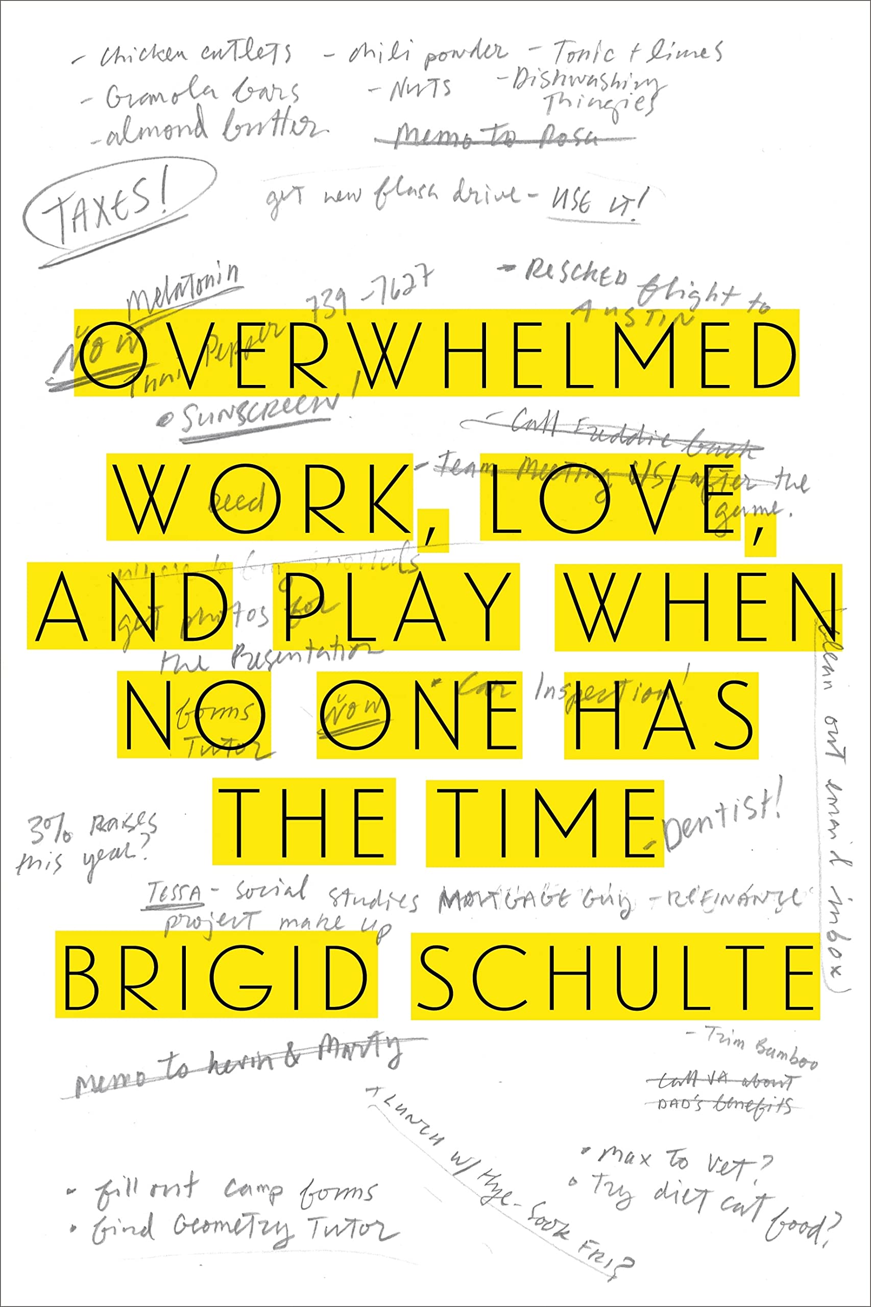 Overwhelmed: Work, Love, and Play When No One Has the Time: Schulte ...