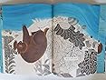 Bear Came Along (Caldecott Honor Book): Morris, Richard T., Pham ...