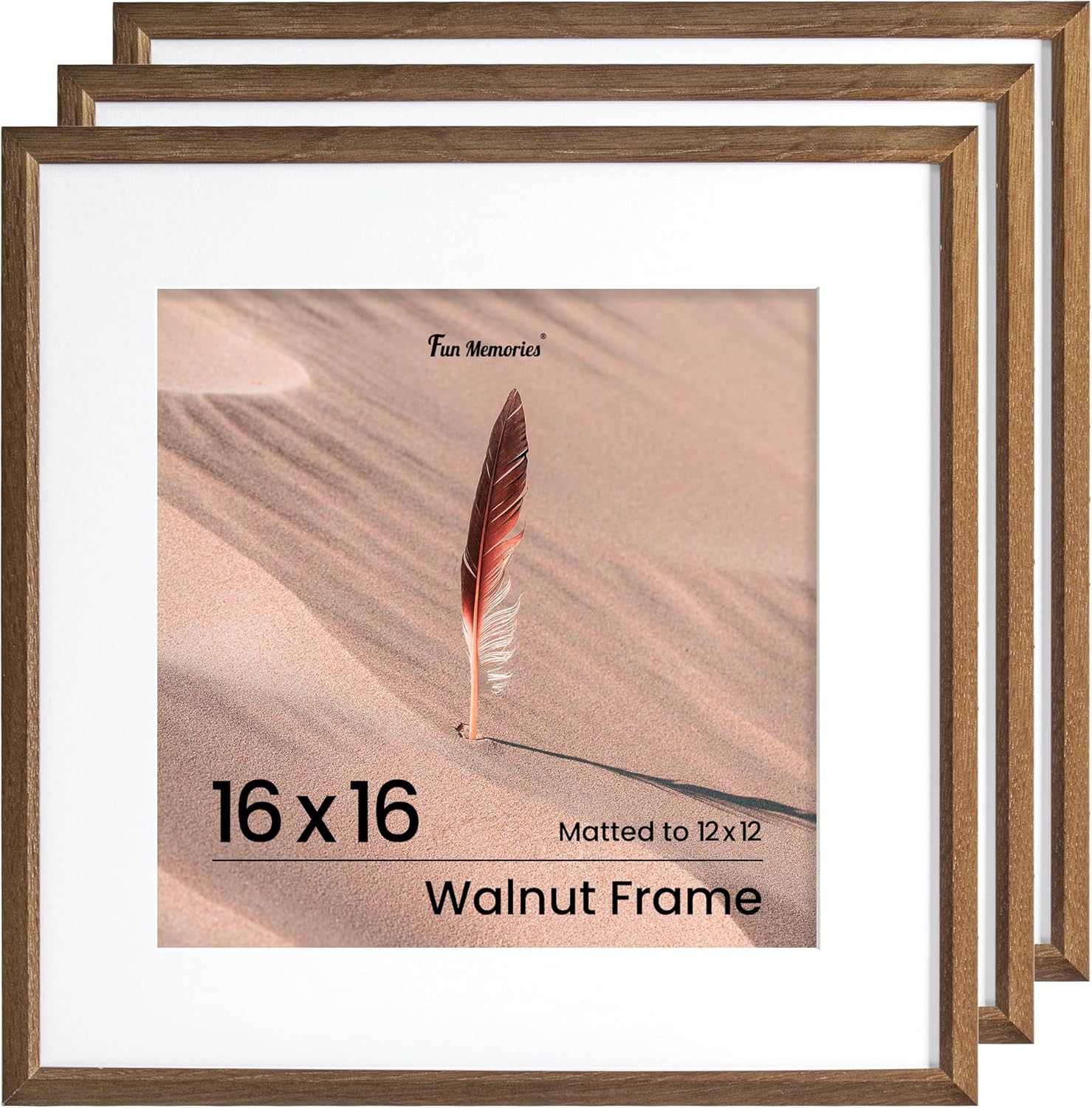 Amazon.com - 16x16 Oak Picture Frame, 16x16 Matted Frame For 12x12 ...