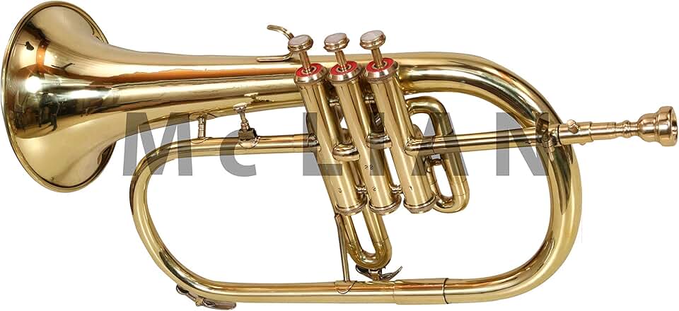 Amazon.com: Flugelhorns - Flugelhorns / Brass Instruments: Musical ...