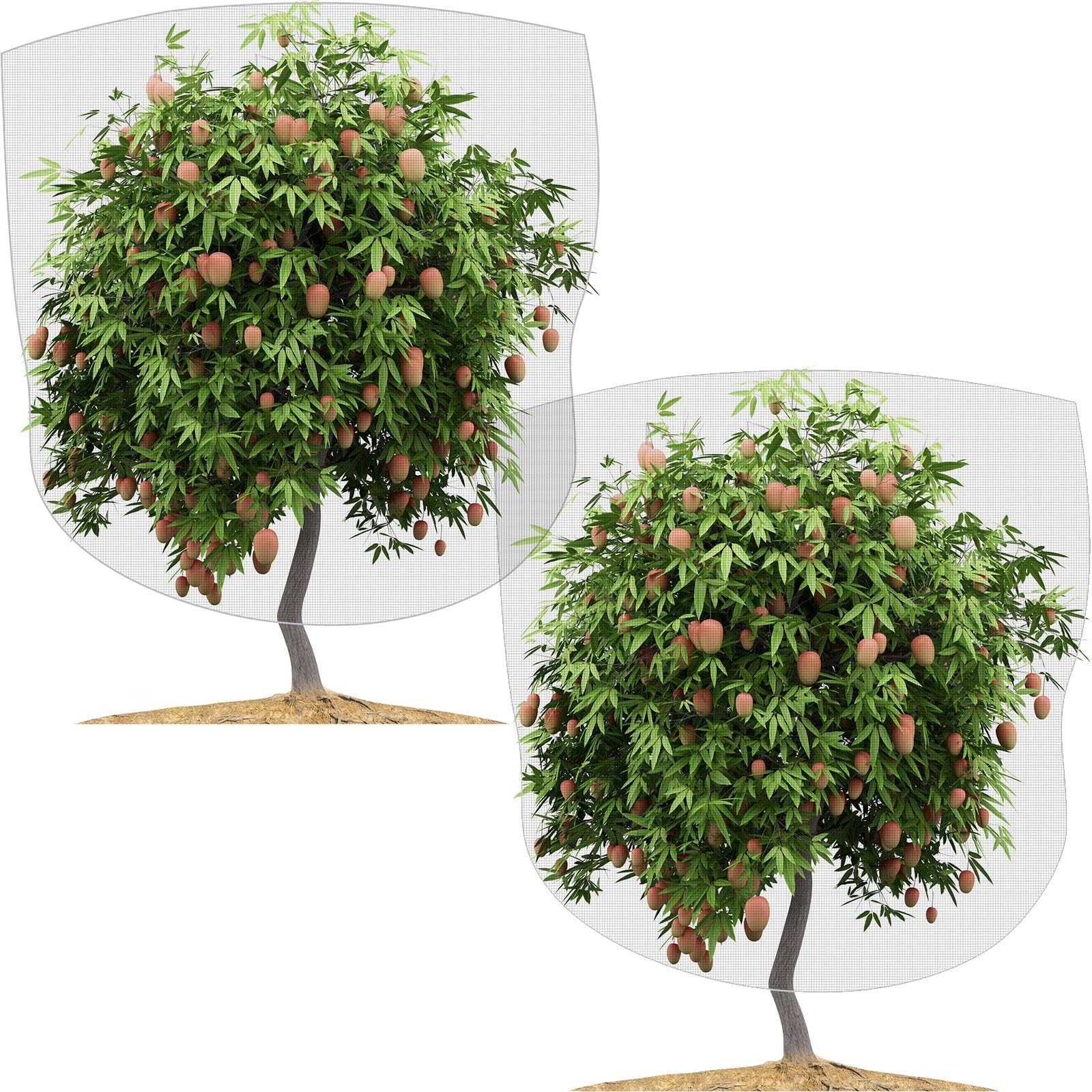 Amazon.com: Large Fruit Tree Netting Cover with Drawstring,Bird Plant ...