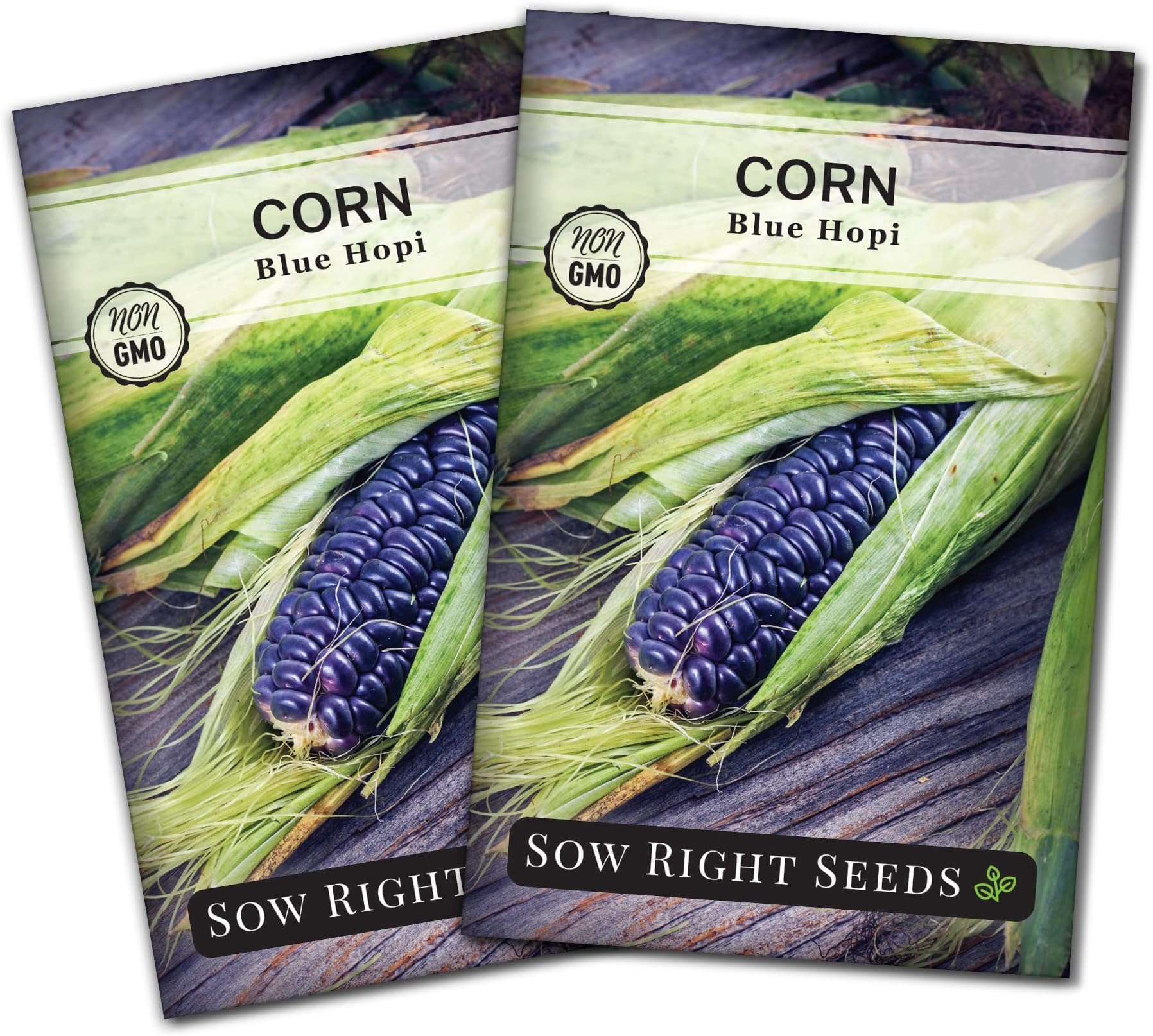 Amazon.com : Blue Hopi Corn Seeds - 100 Count Seed Pack - A Royal Blue ...